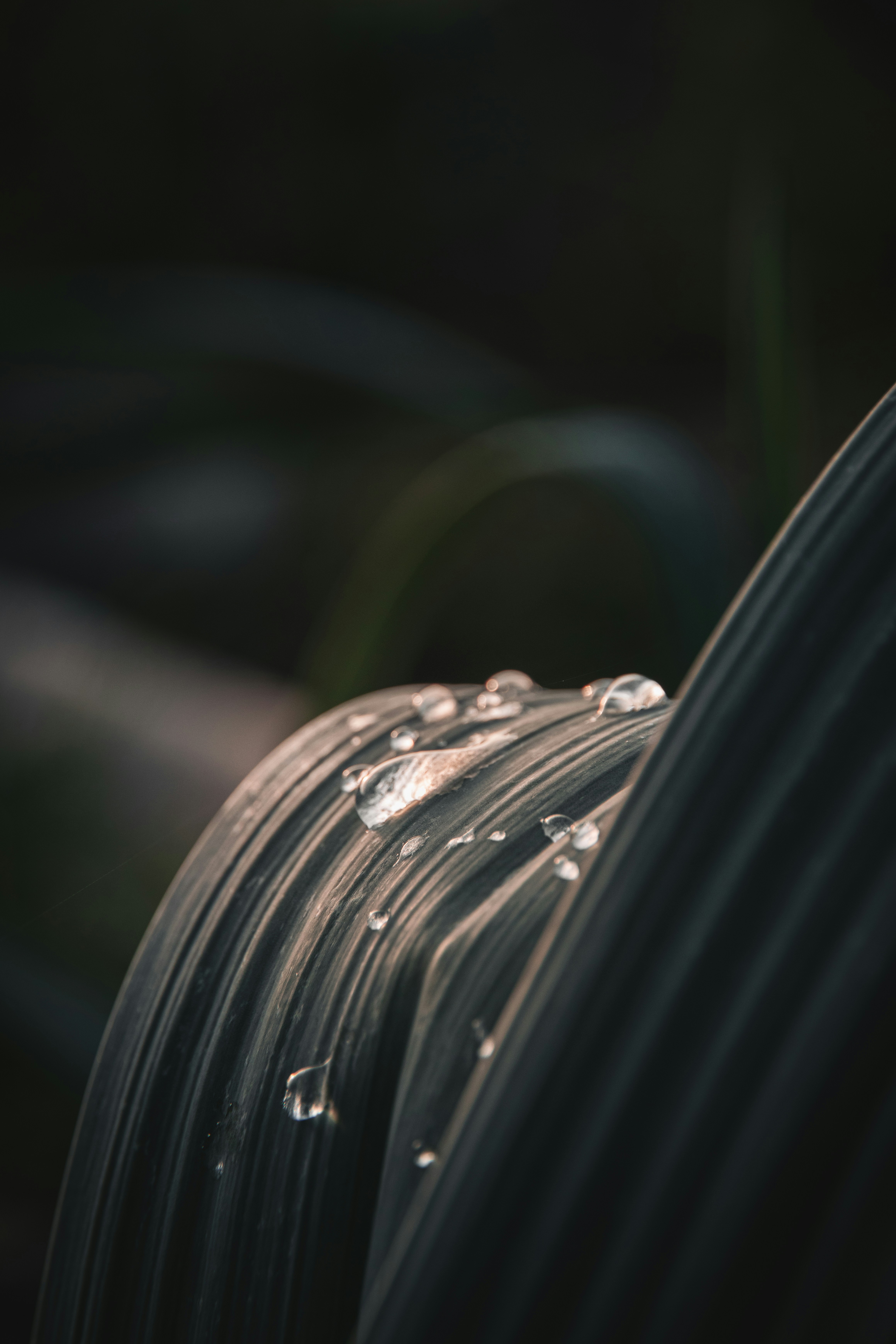 a close up of a coil with water droplets on it