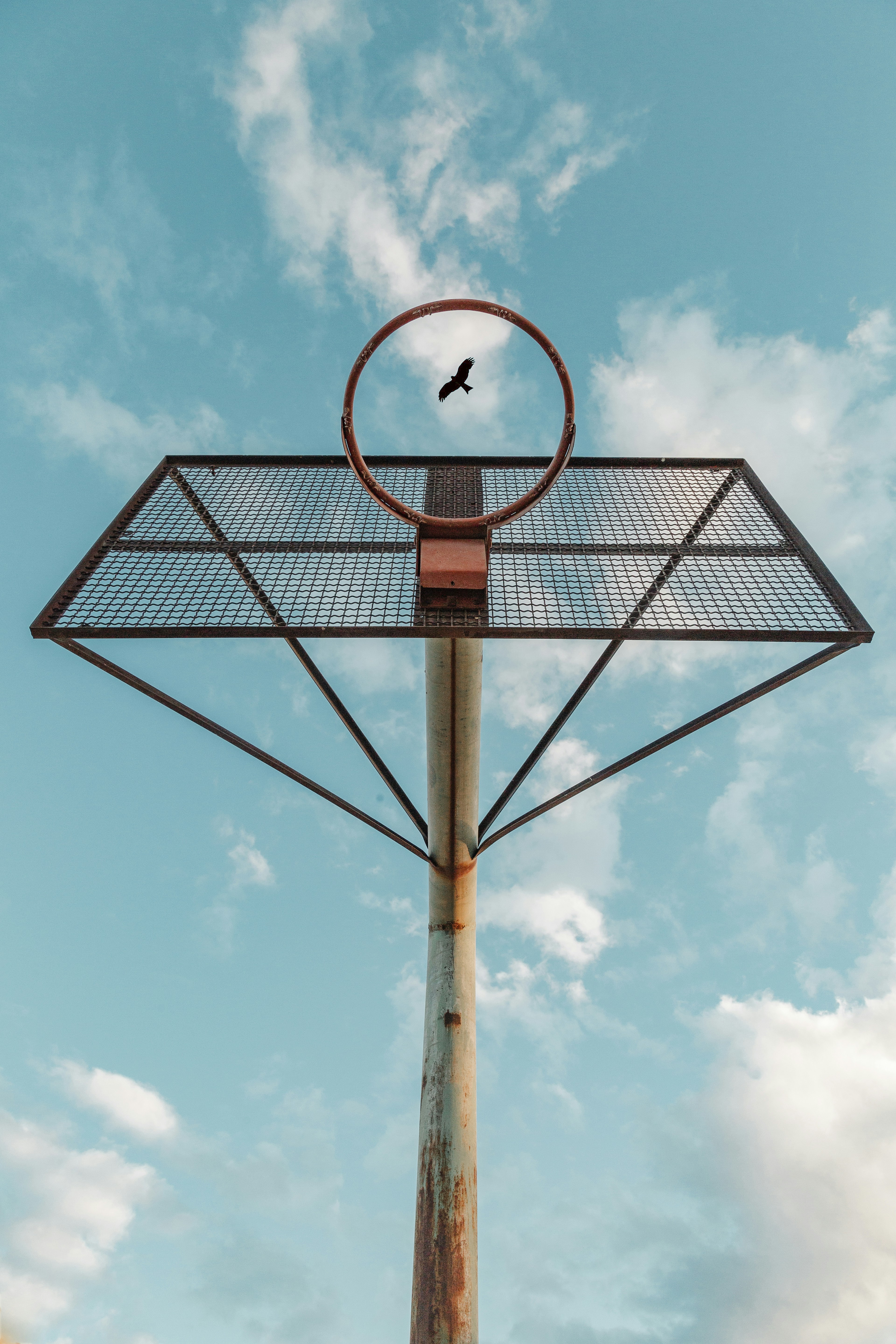Ring of Sky: A Bird Passes Through a Weathered Hoop