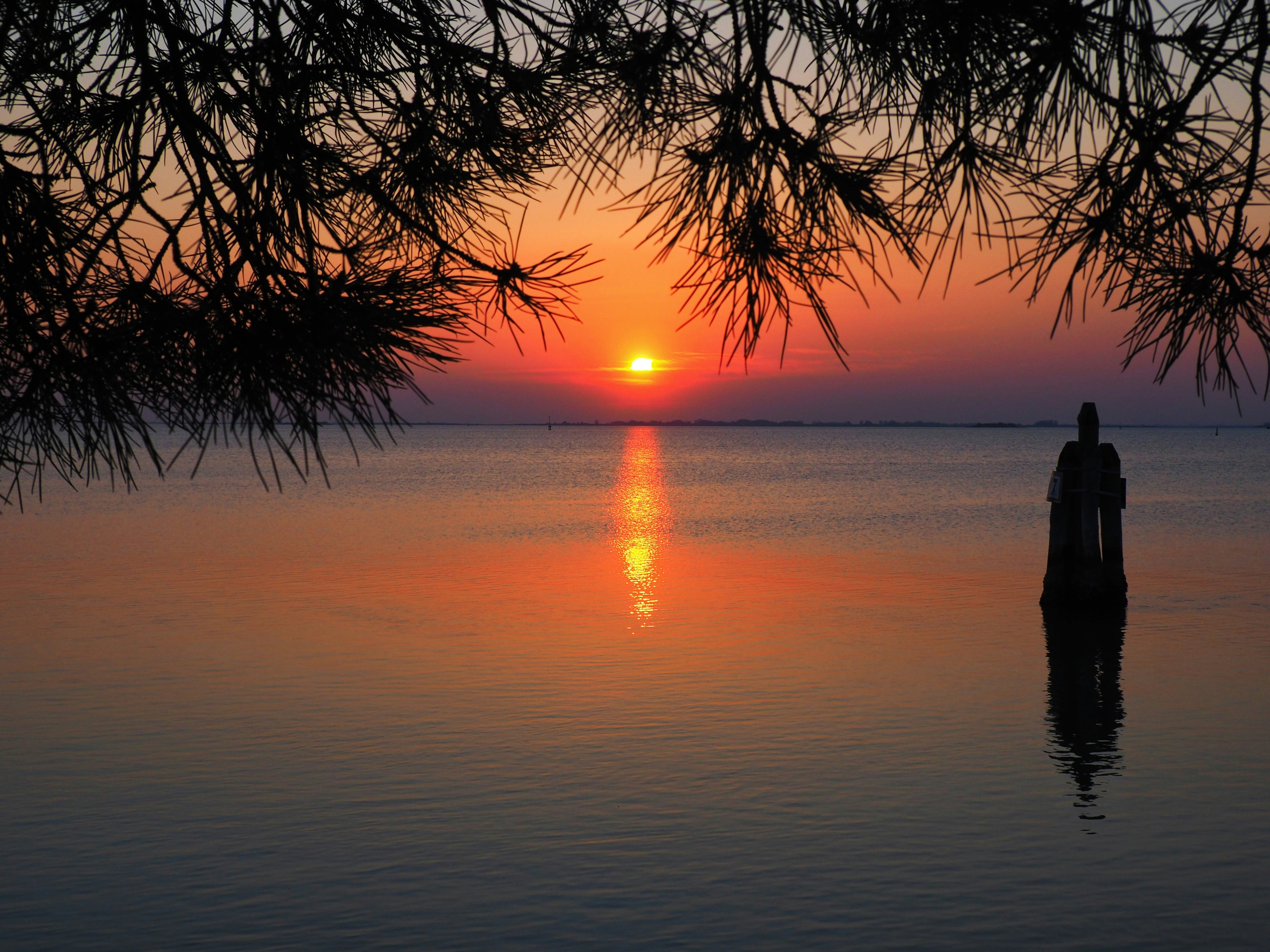 A person sitting on a dock watching the sunset photo – Free Venise ...