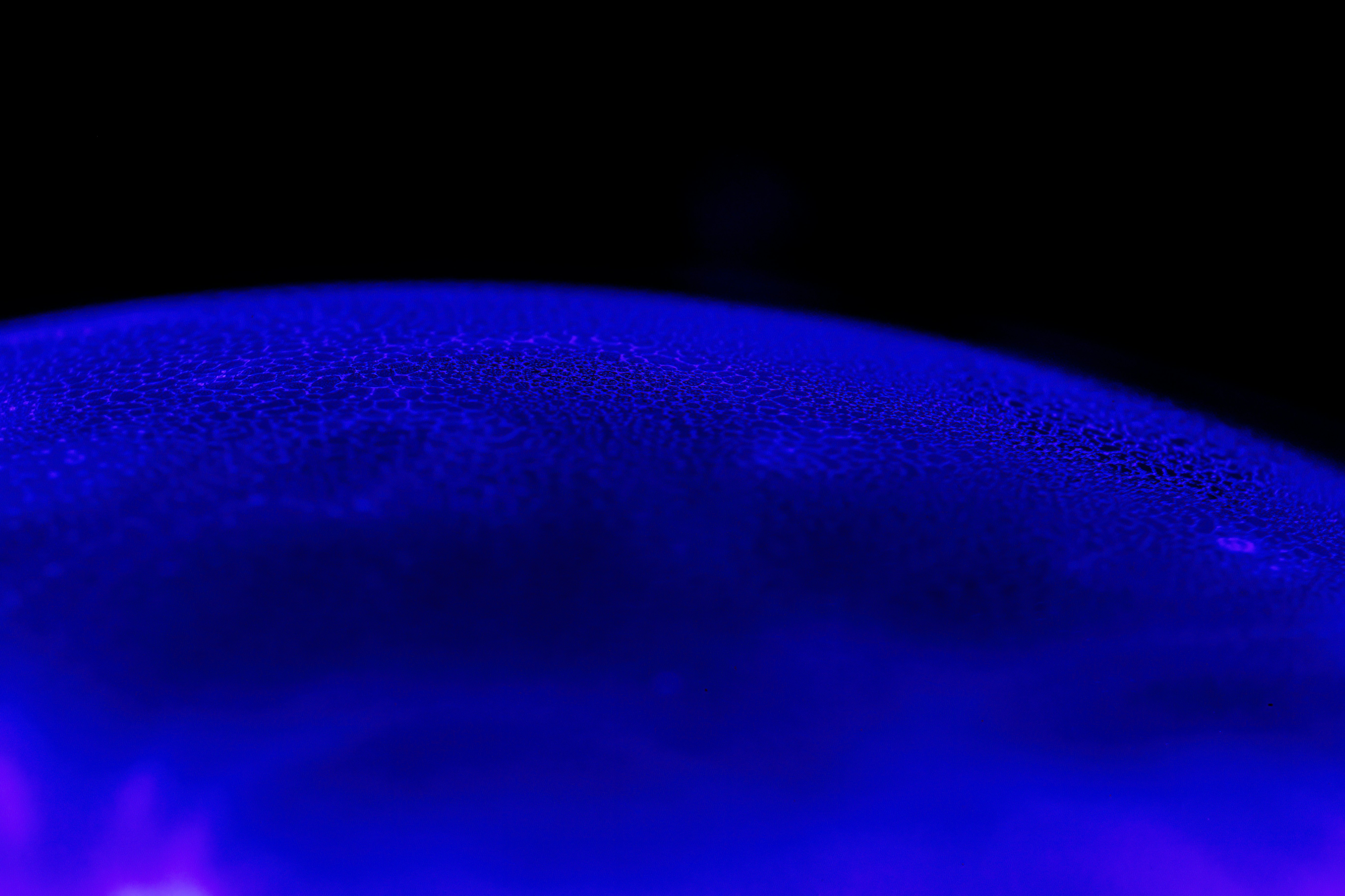 Blue Black Background Pictures | Download Free Images on Unsplash