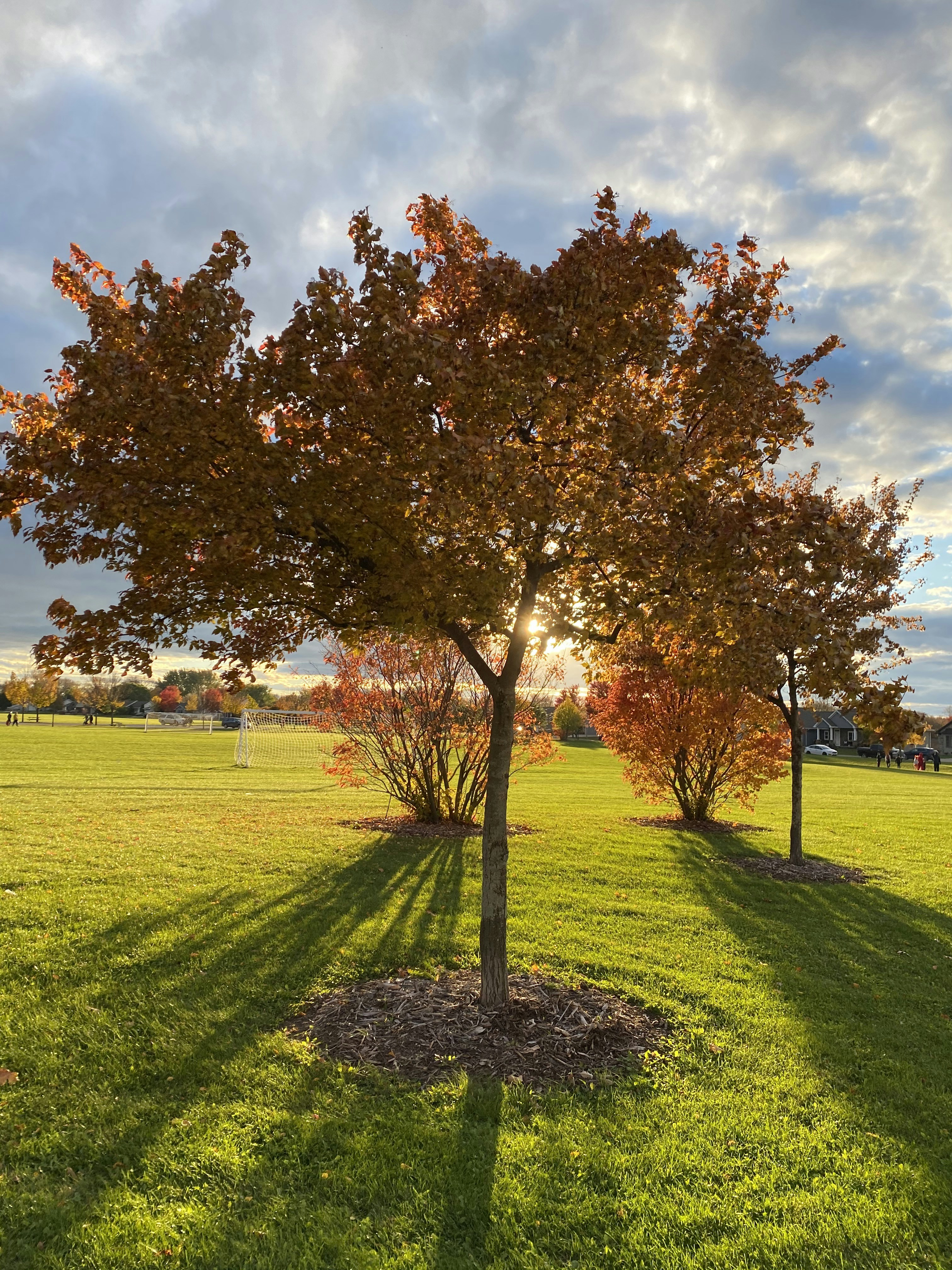 C Kurowski (@ckurowski) | Unsplash Photo Community