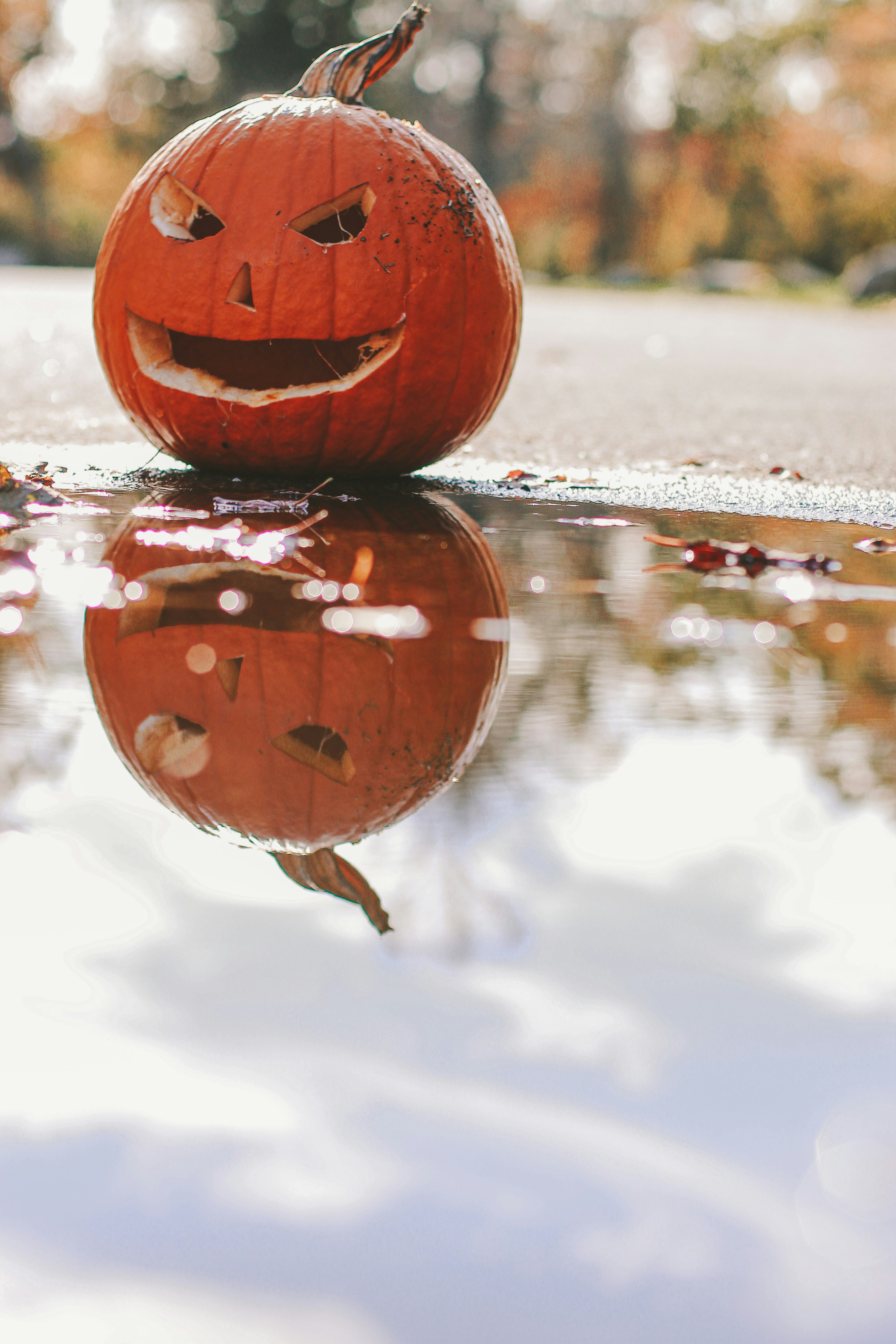 Puddle Mirror: Grinning Pumpkin Reflects Autumn Light