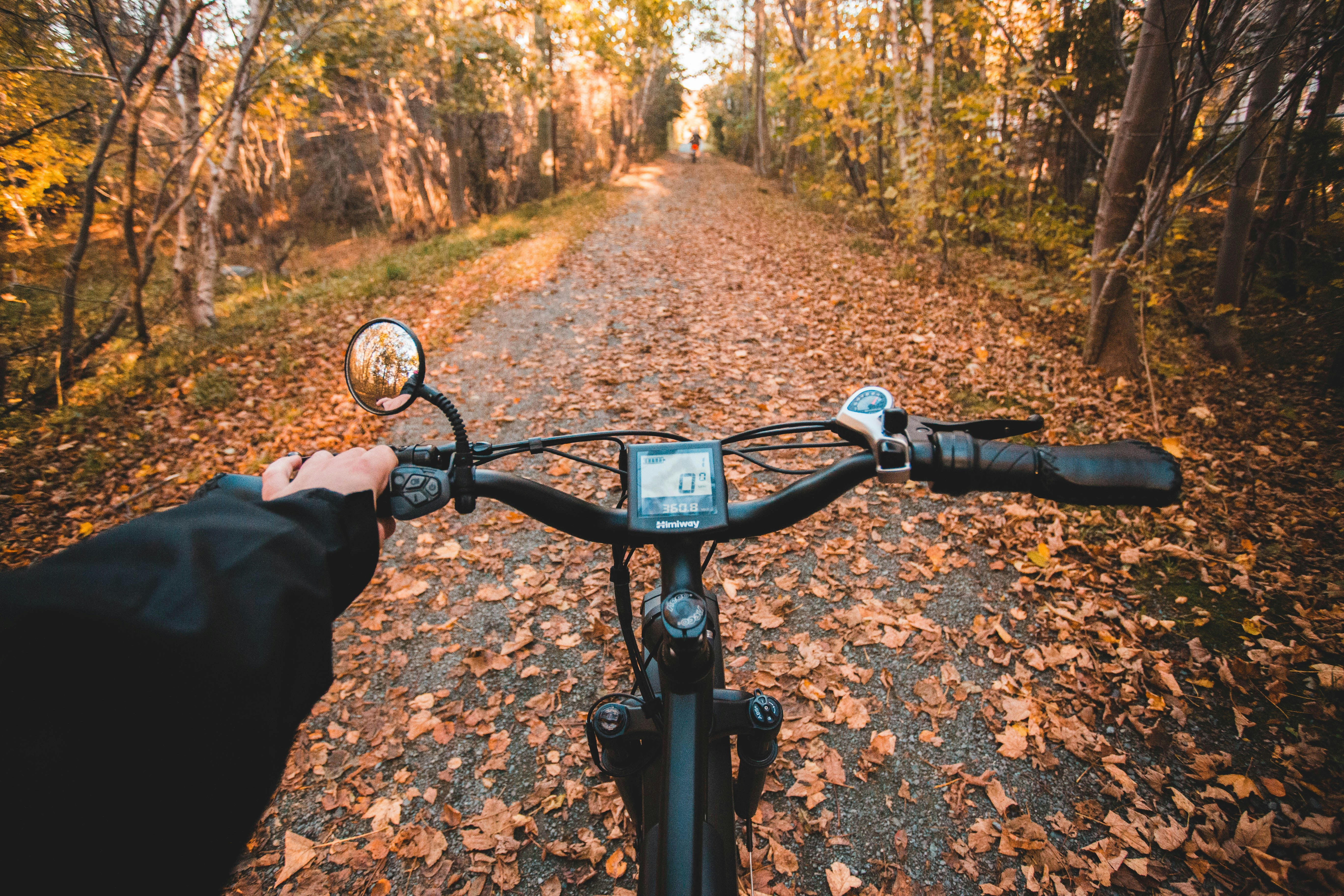A person riding a bike down a leaf covered road photo – Free Path Image ...