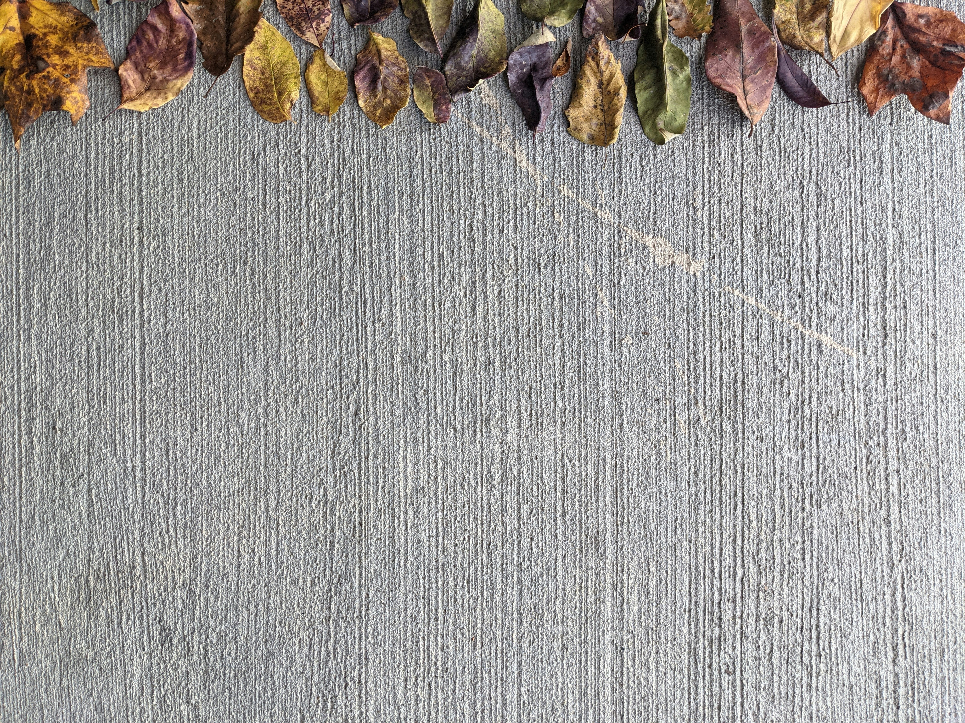 Autumn leaves form a natural border along weathered wooden planks, creating a textured, minimalist frame.