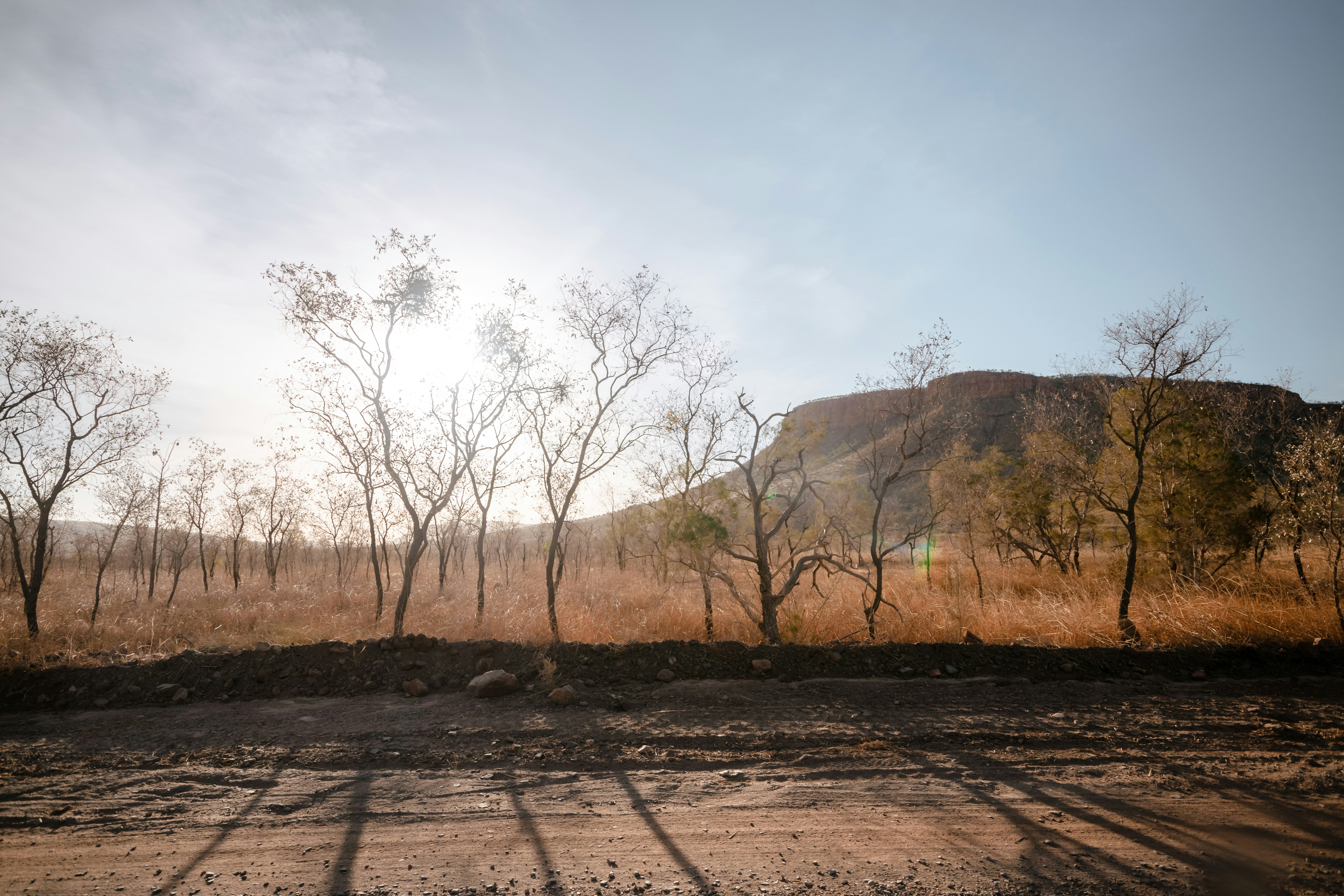 A dirt field with trees and a mountain in the background photo – Free ...