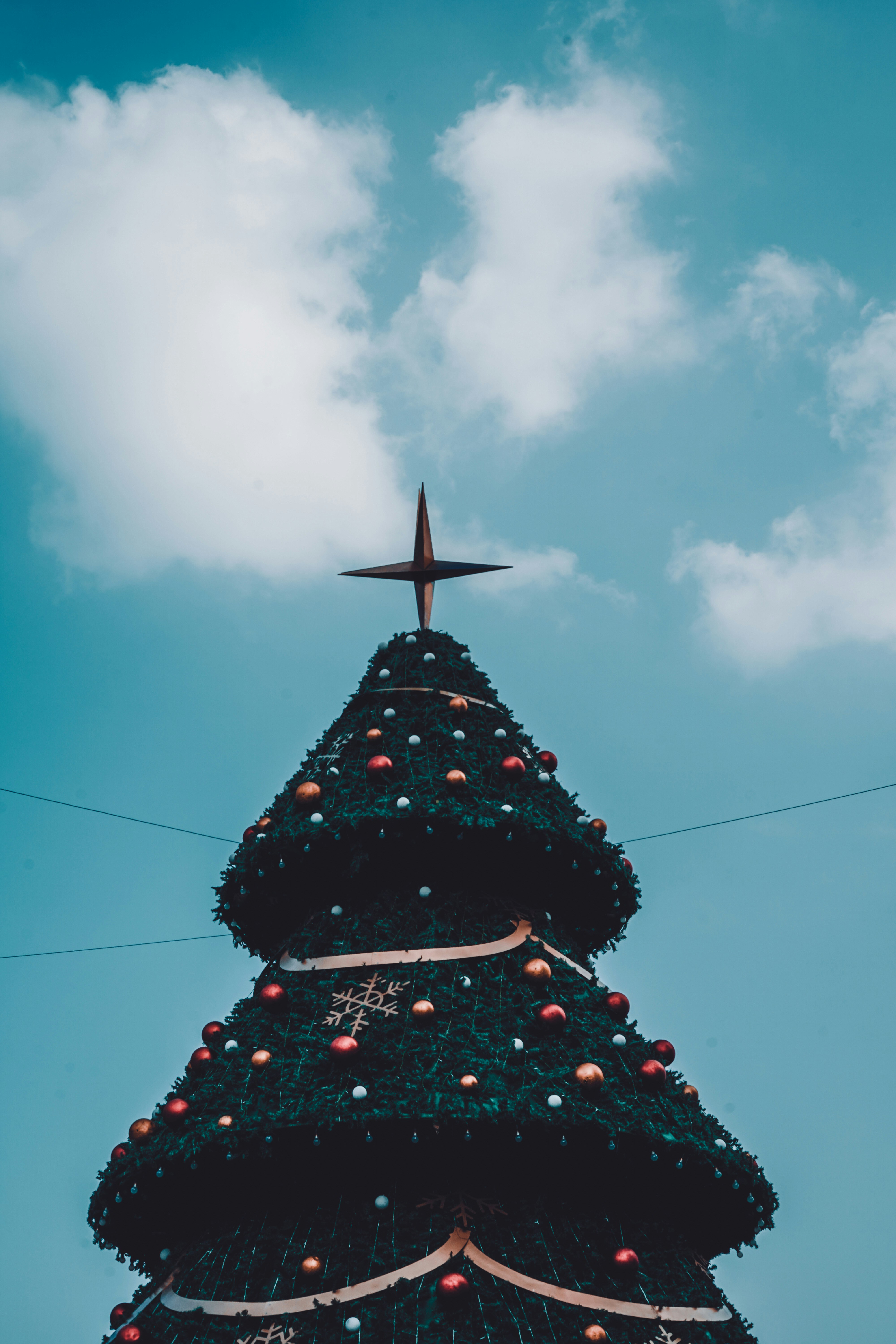 Star at the Summit: A Christmas Tree Reaching into a Clear Winter Sky