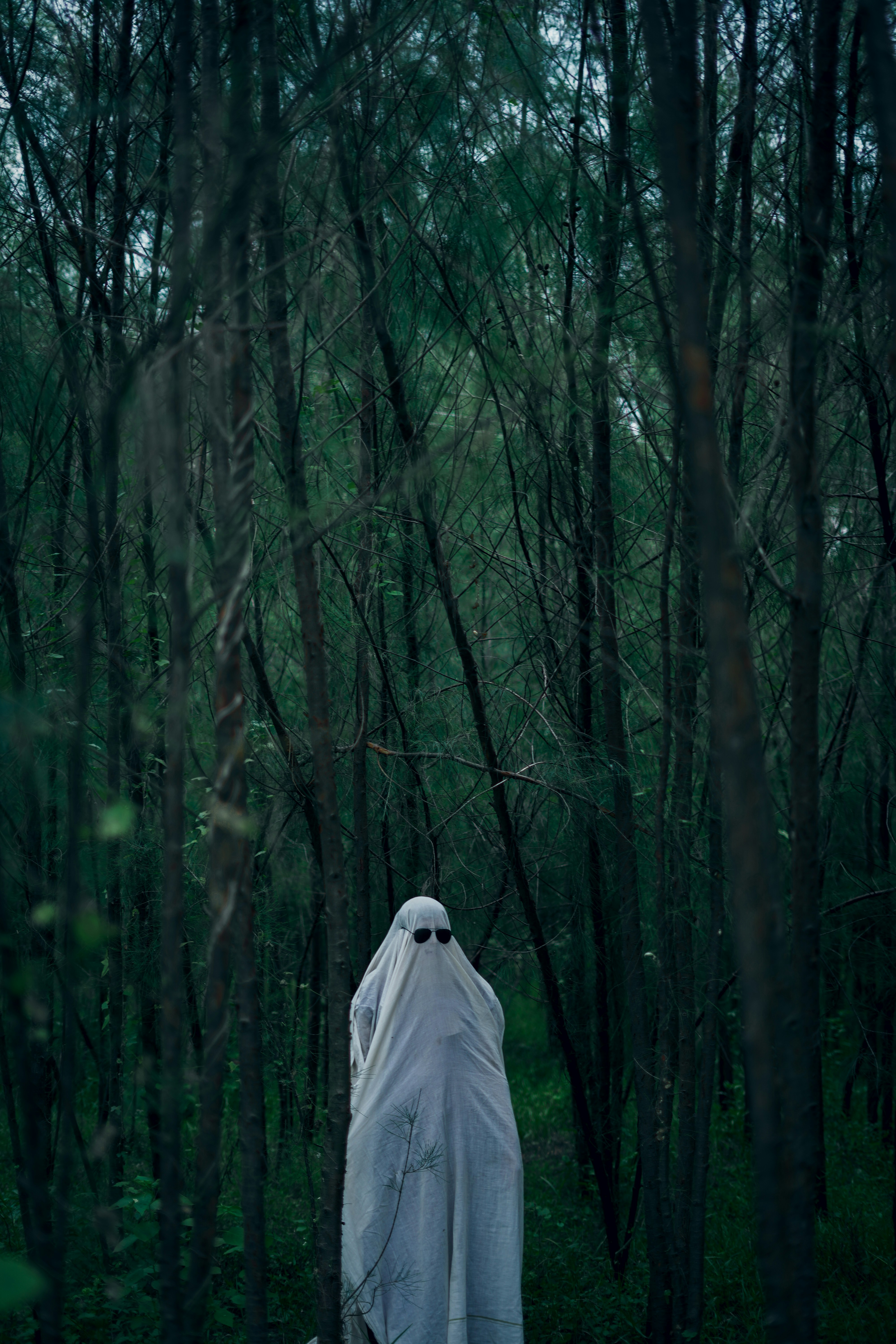Spook Pictures | Download Free Images on Unsplash