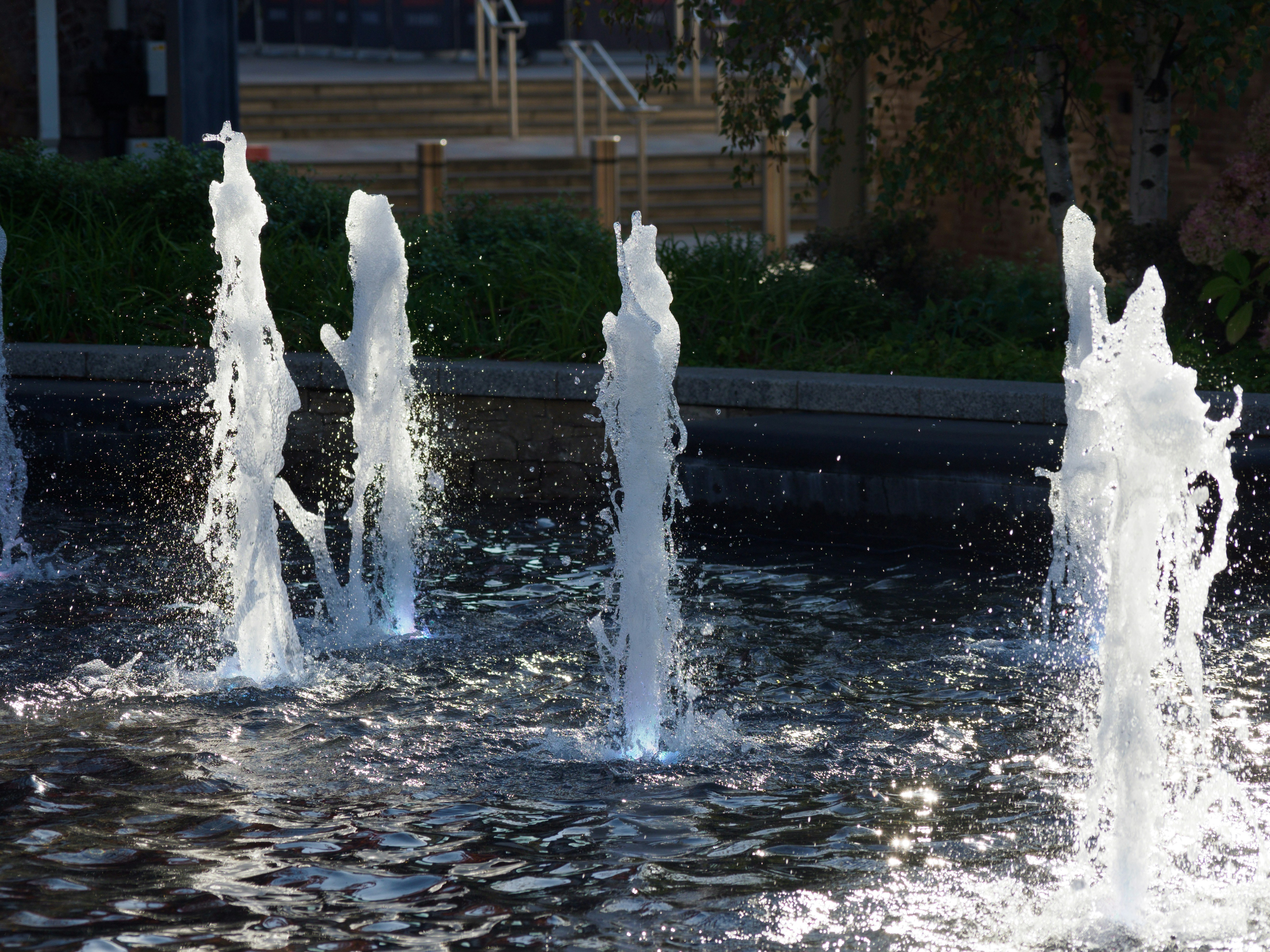 A group of water spouting from a fountain photo – Free Grey Image on ...