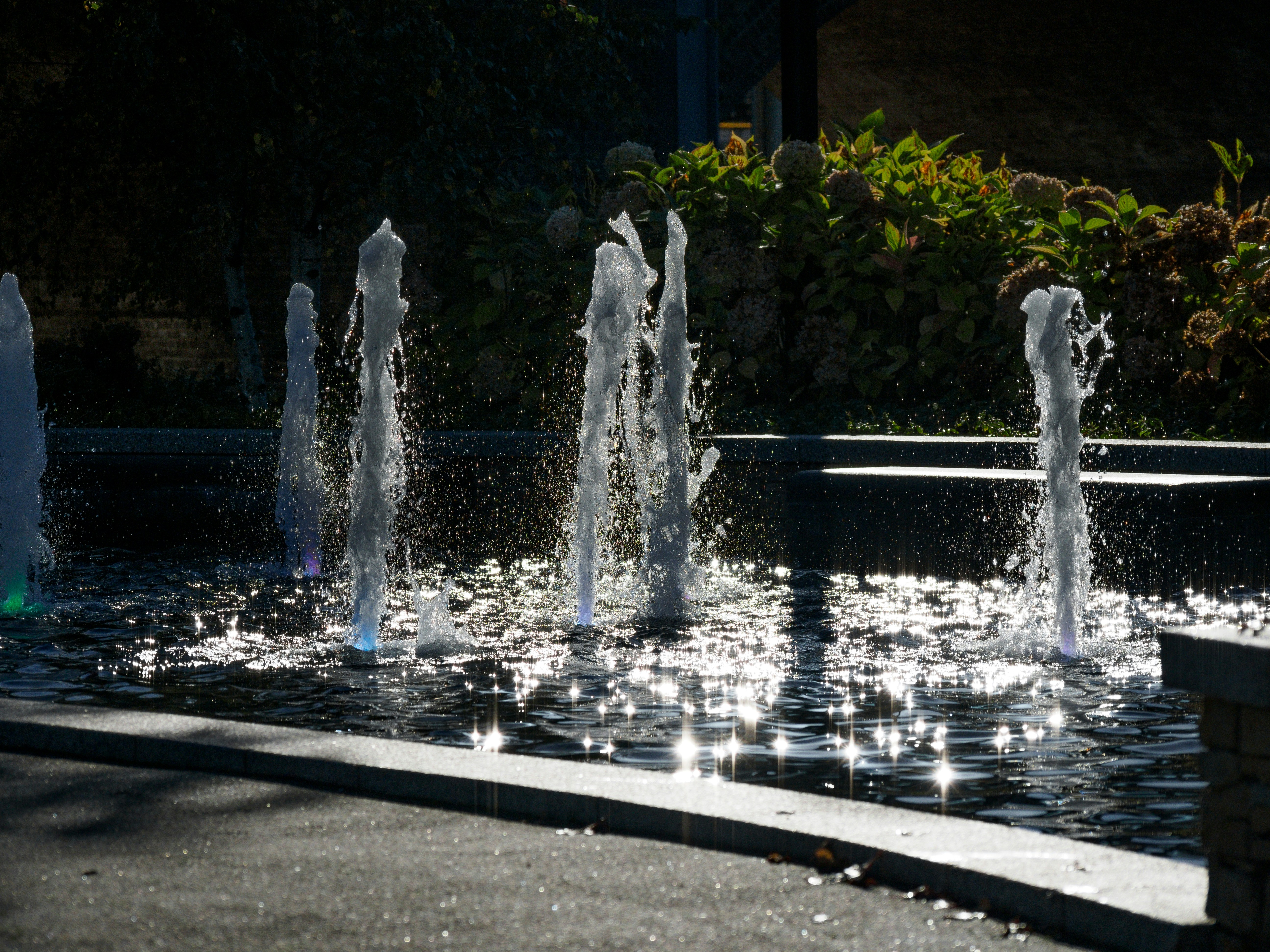 A bunch of water spewing out of a fountain photo – Free Grey Image on ...