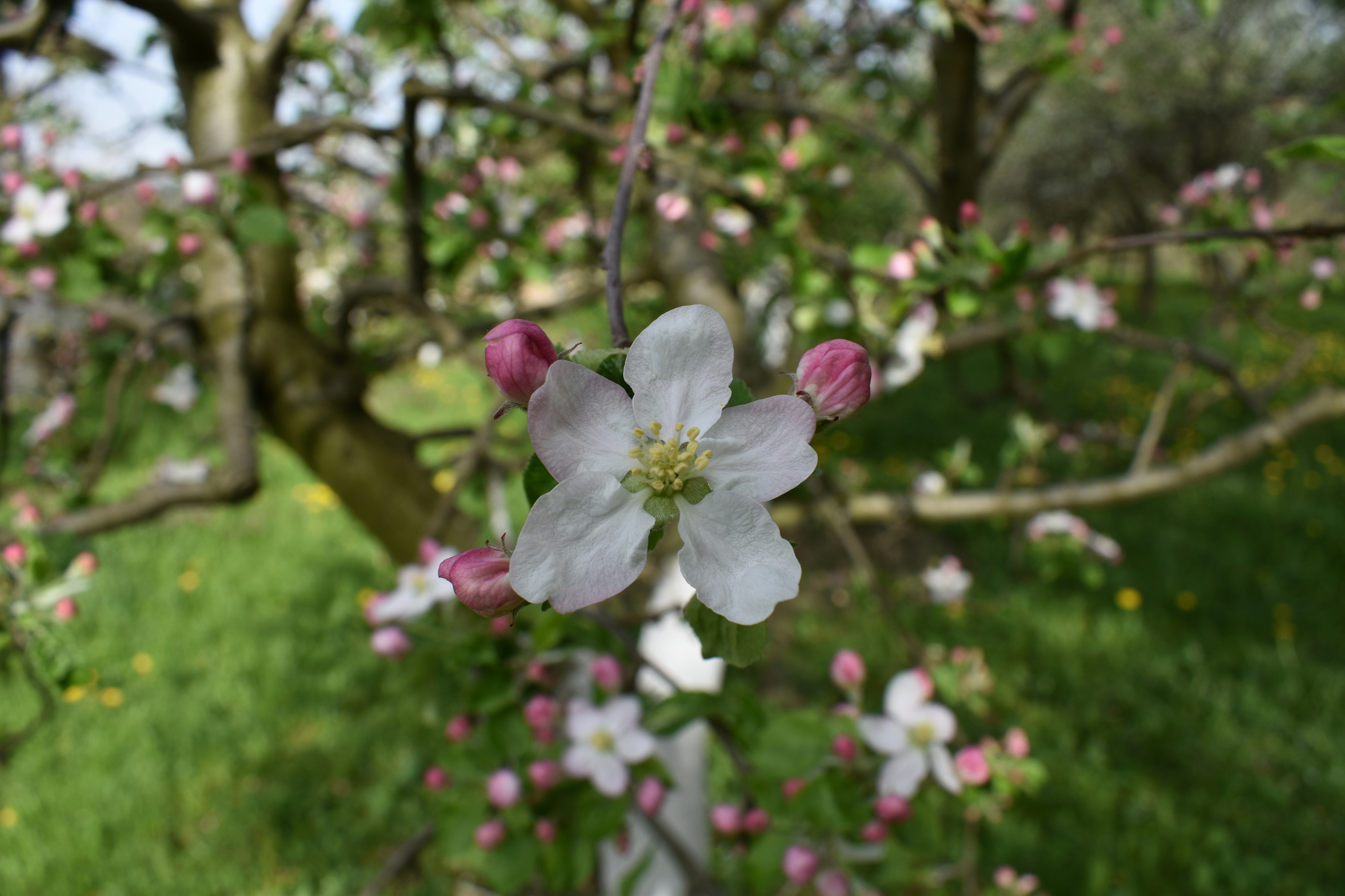 Iris Colors (@iriscolors) | Communauté photos Unsplash