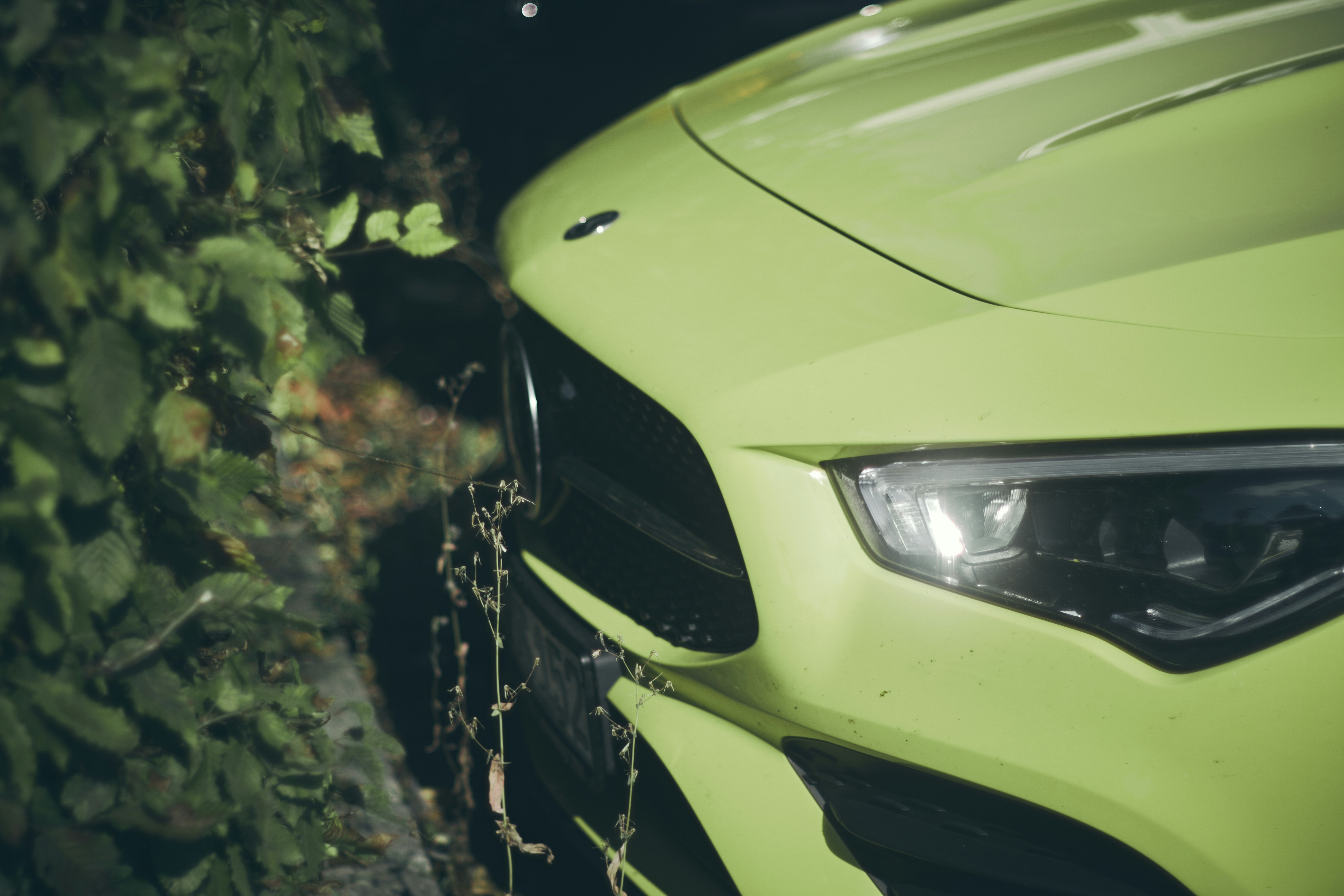 Emerald Grille in Twilight: A lime sports coupe framed by ivy