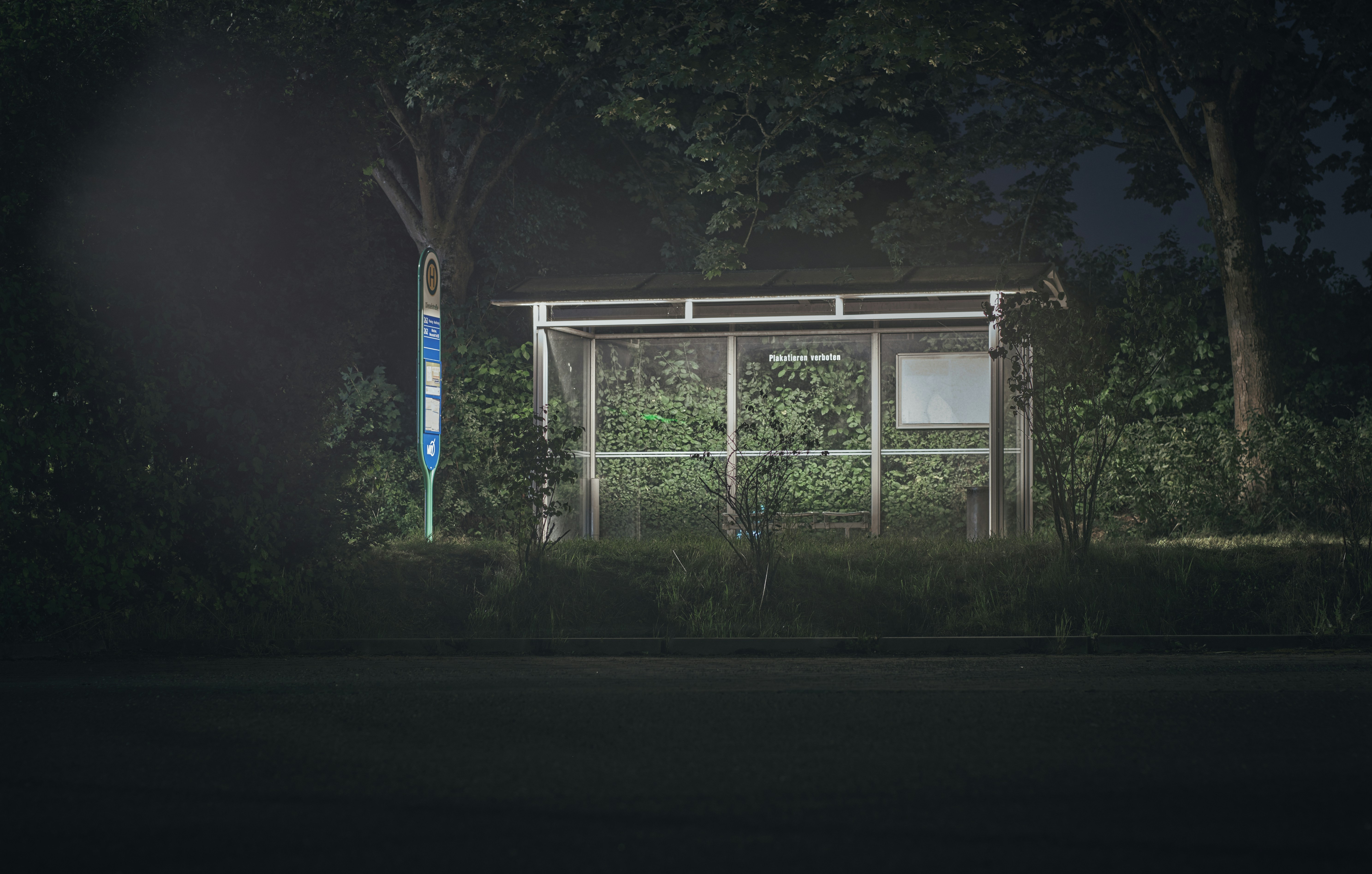 A bus stop sitting in the middle of a forest at night photo – Free Bus ...