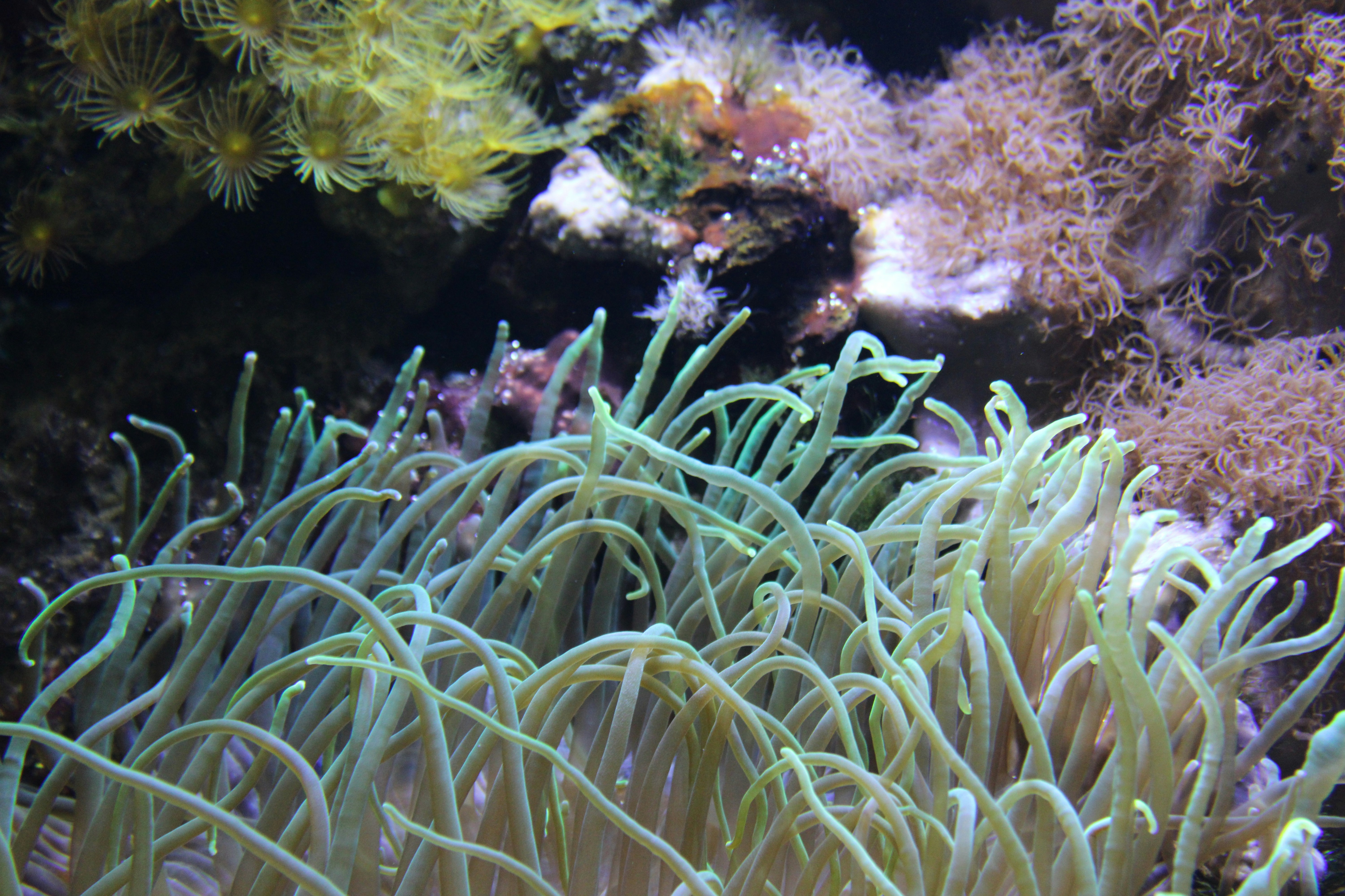 Ivy.D Design (@ivyd_design) | Unsplashフォトコミュニティ