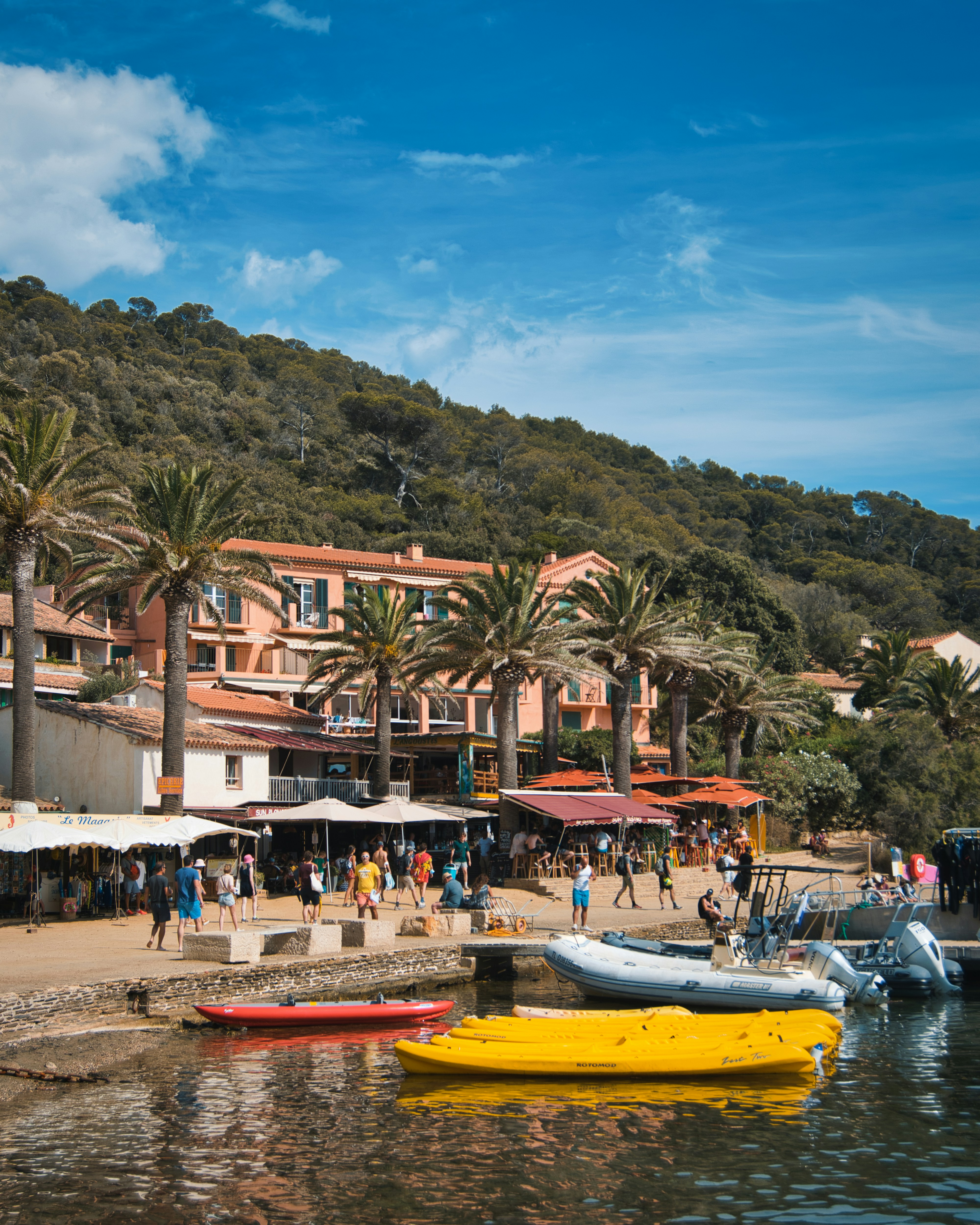 Harbor Life: A Vibrant Coastal Scene