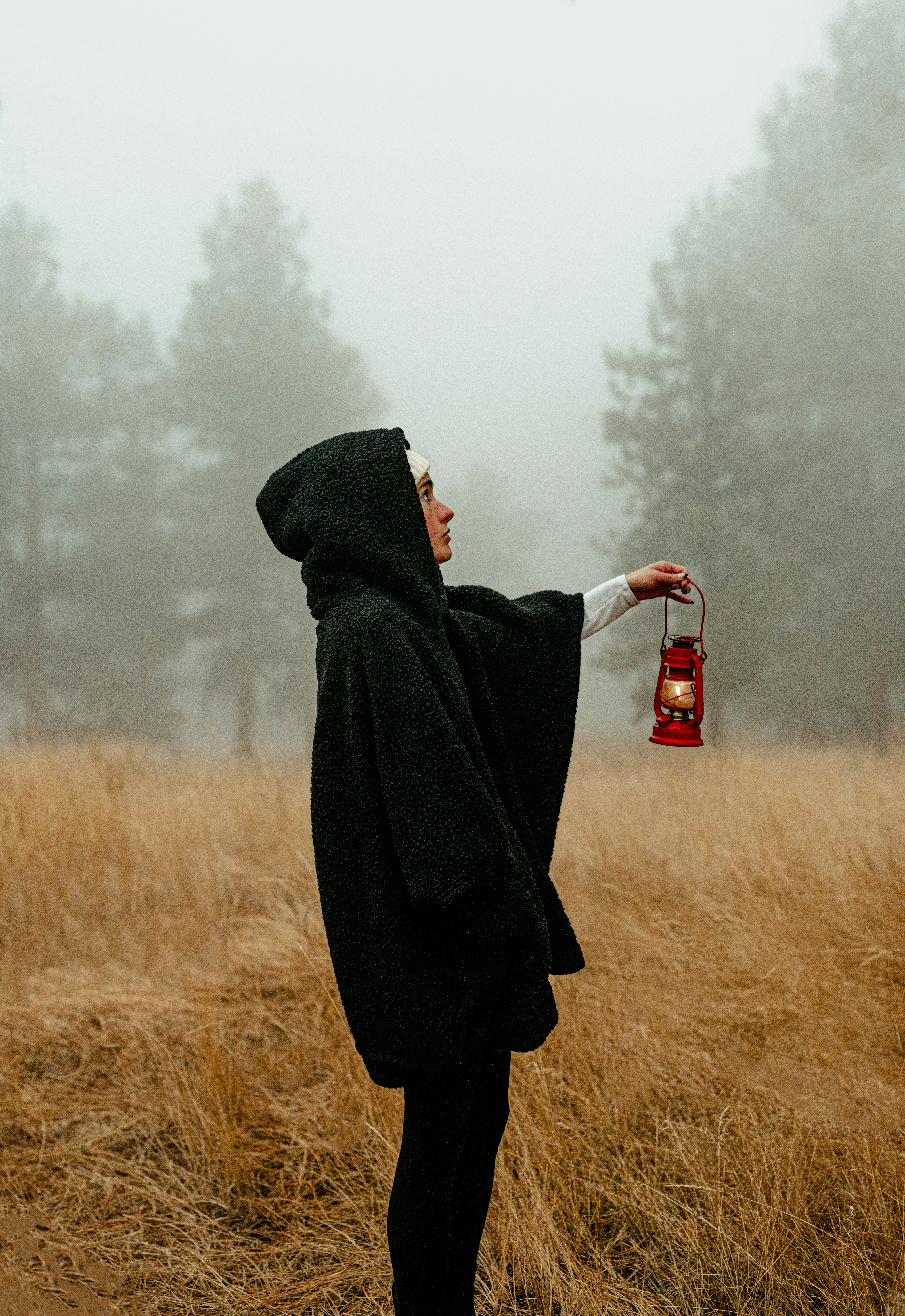 Amber Lantern in the Mist: A Lone Figure in a Fog-Blanketed Field