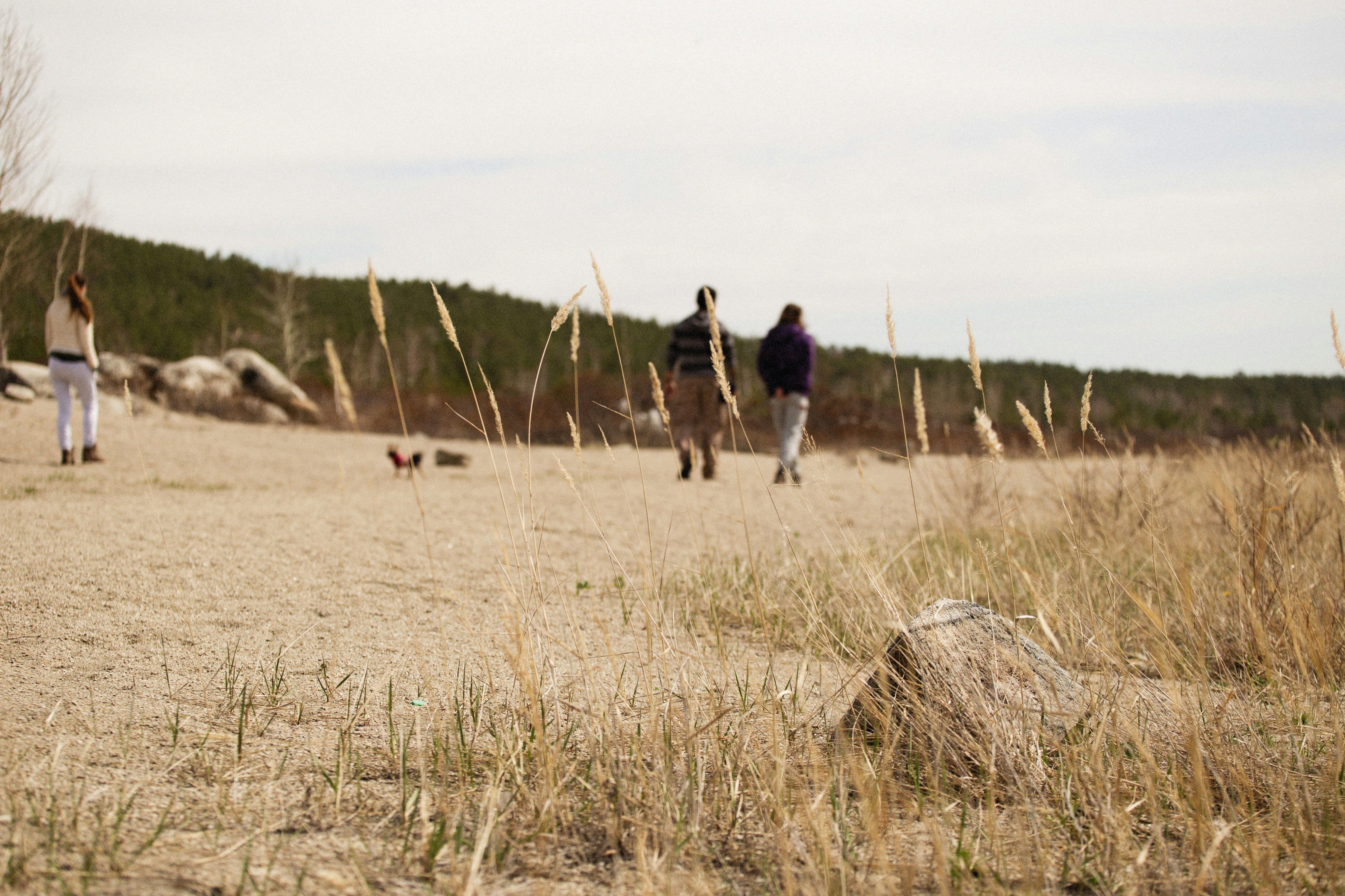A group of people walking across a sandy field photo – Free Brown Image ...