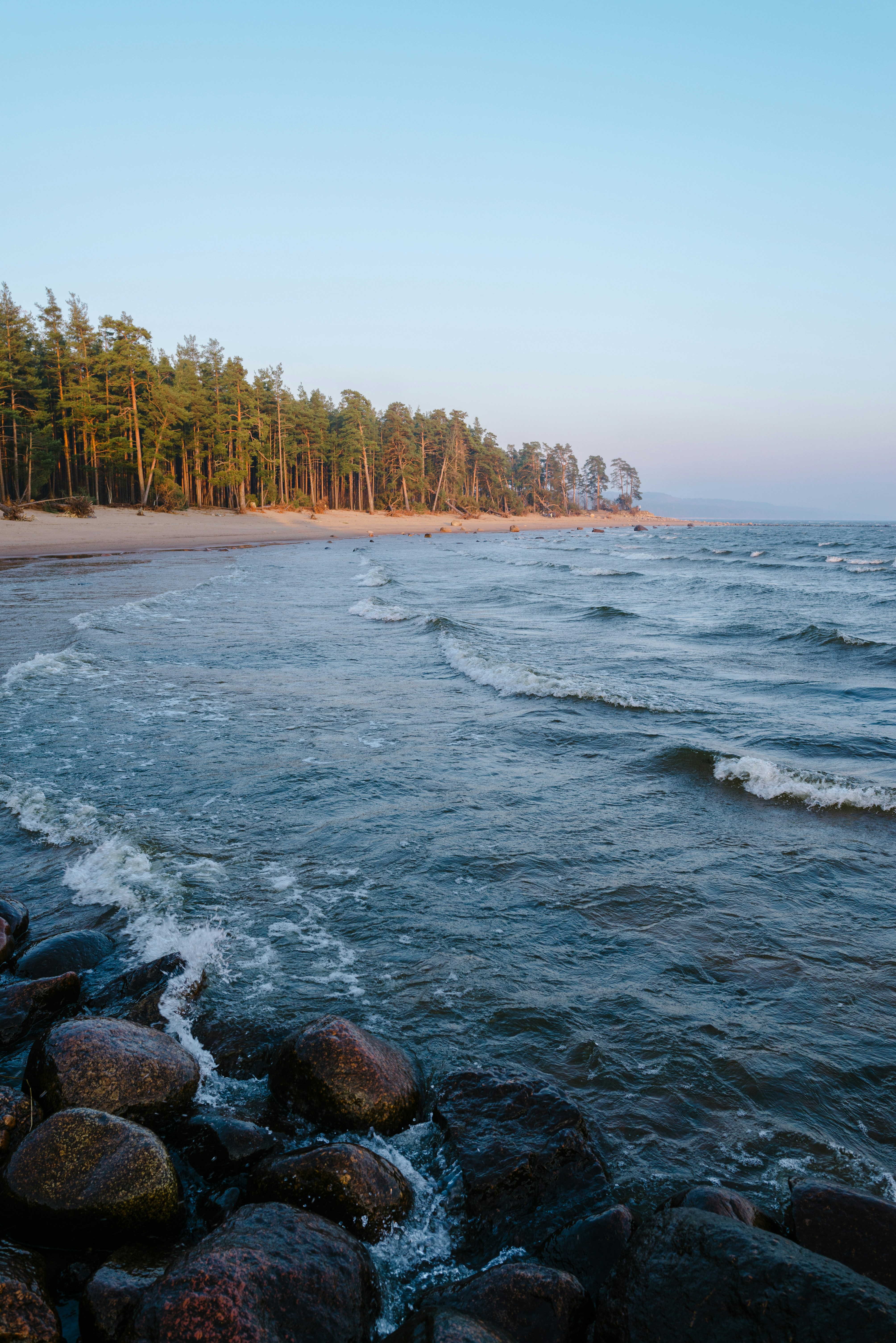 Edge of the Baltic: Pines, Rocks, and Quiet Sea in Early Light