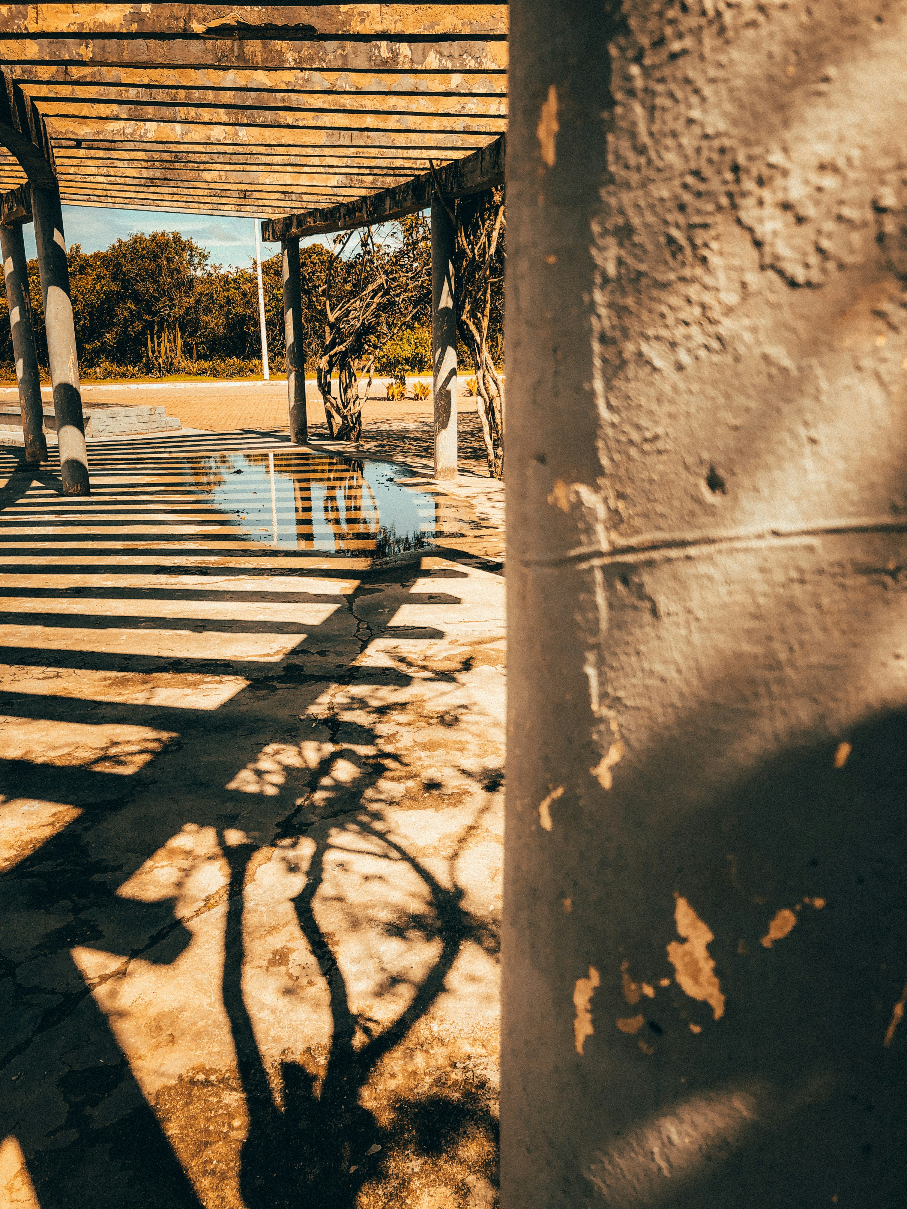 Shadows Behind Columns: An Arc of Light and Architecture