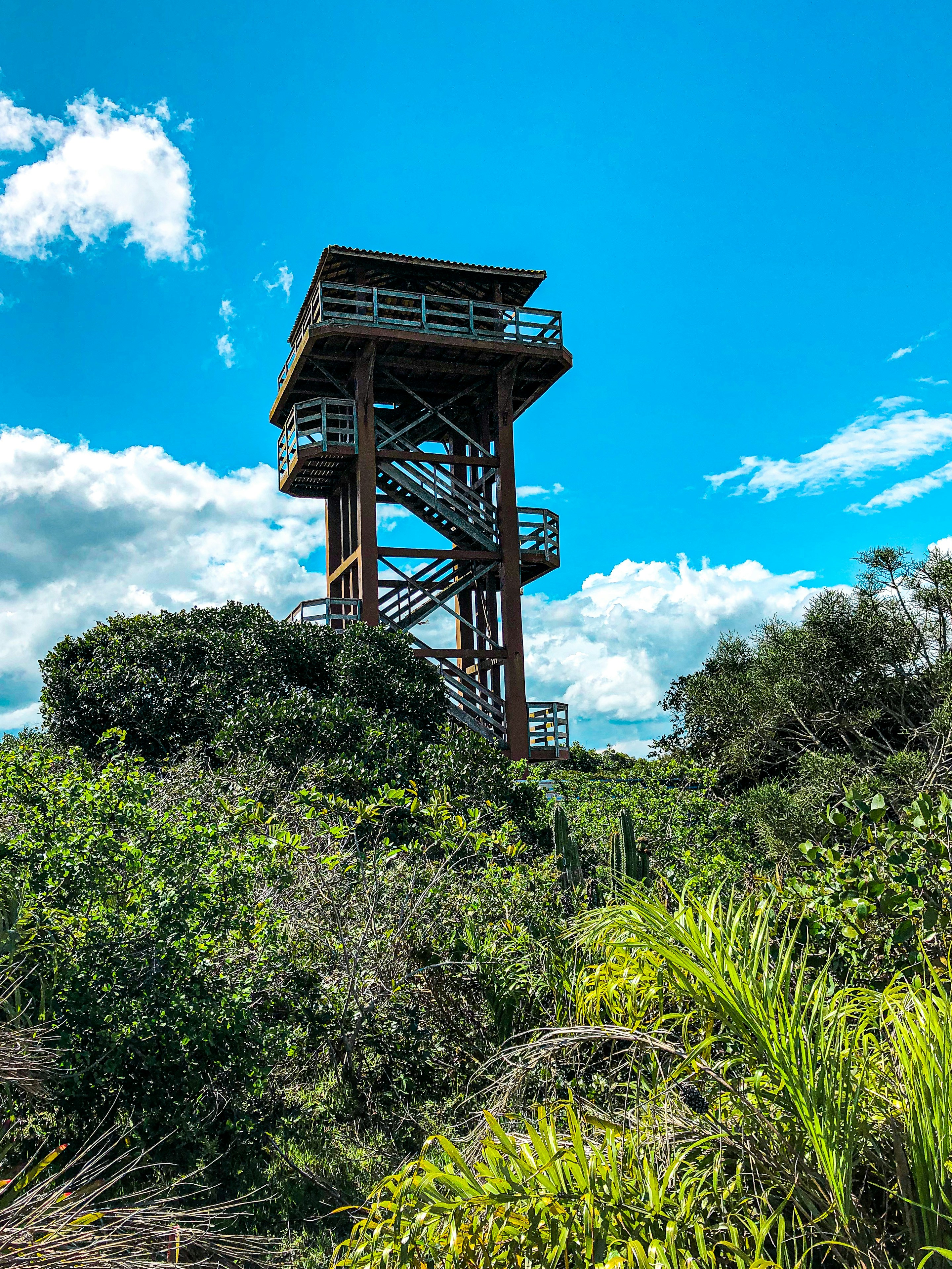Timber Watchtower Rising Above Lush Tropical Canopy