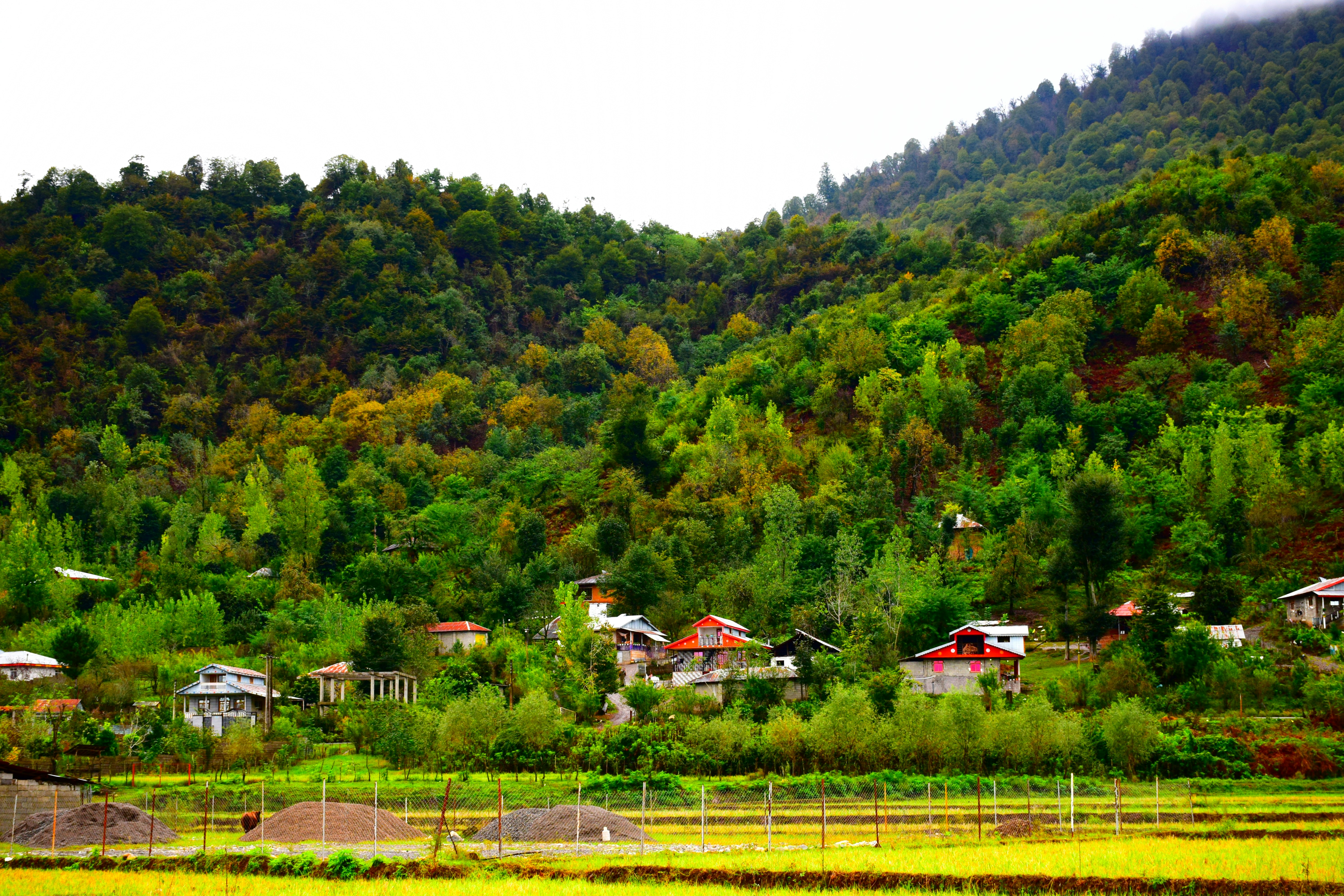 Hossein Salamat (@shinobi1451) | Komunitas Foto Unsplash