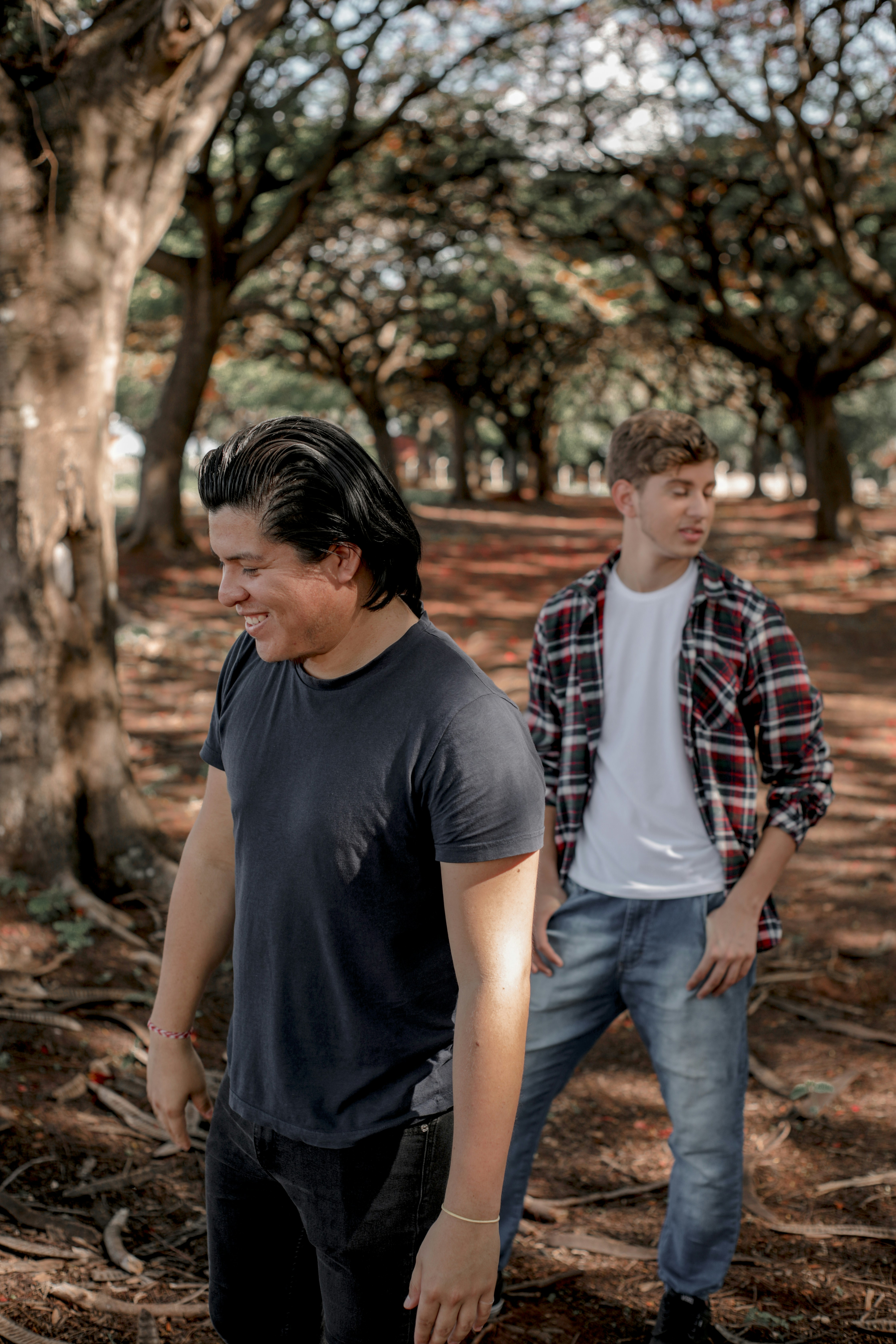 Two young men are playing frisbee in the woods photo – Free Brasil ...