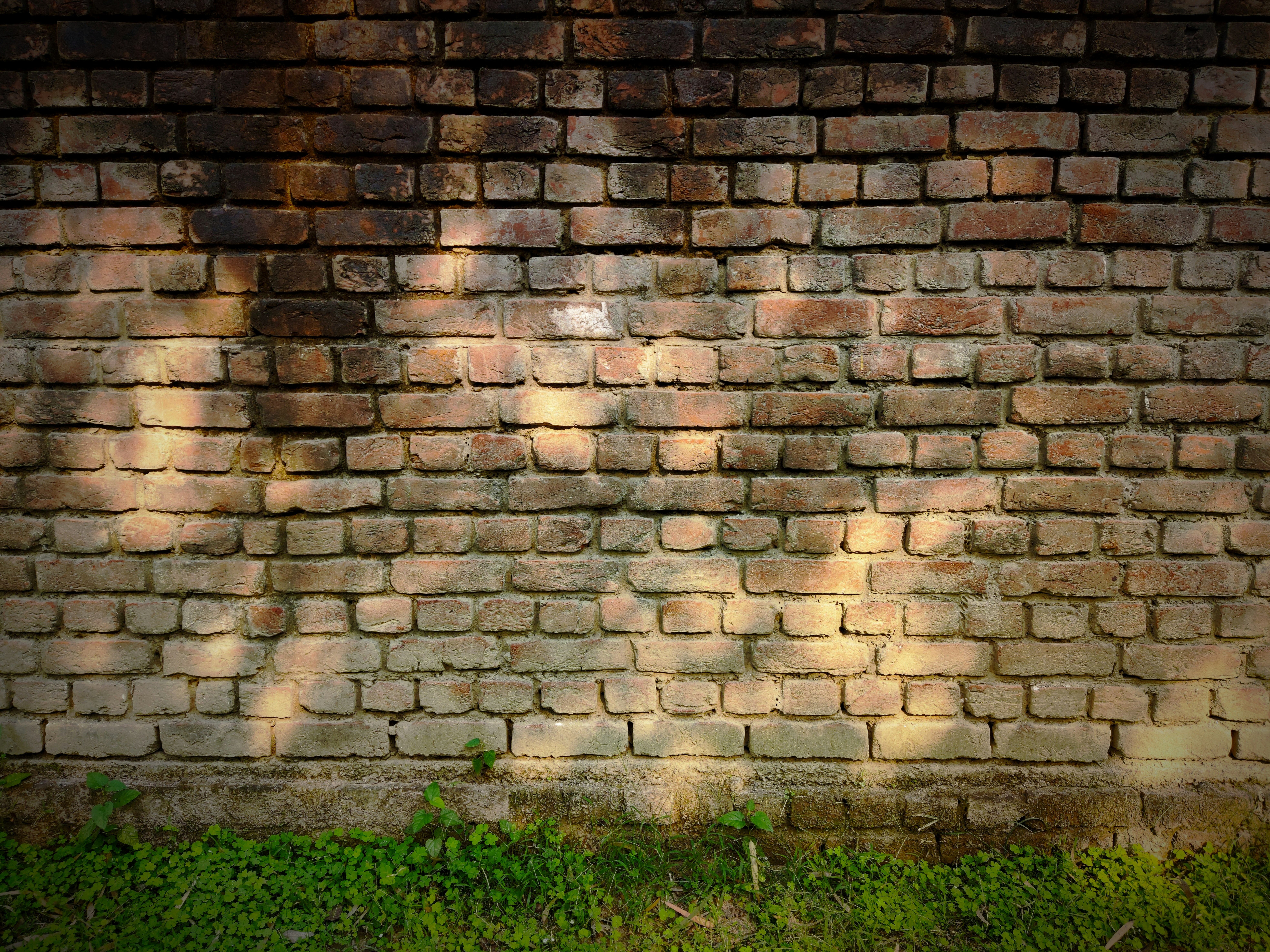 Sunlight casts intricate shadows on a textured brick wall above a strip of green grass.
