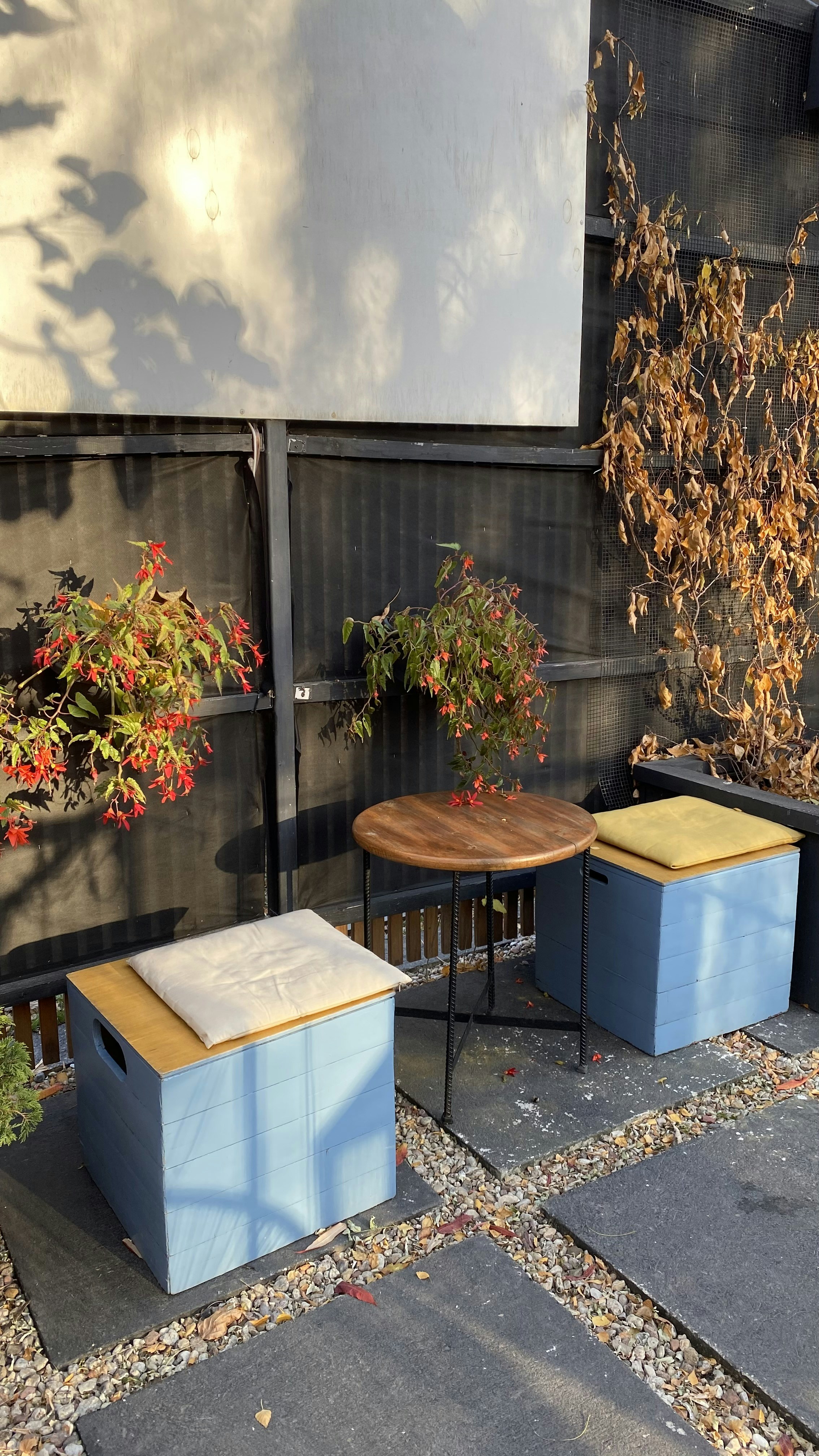 Sunlit Courtyard Nook: Blue Cube Seats Framing a Round Table
