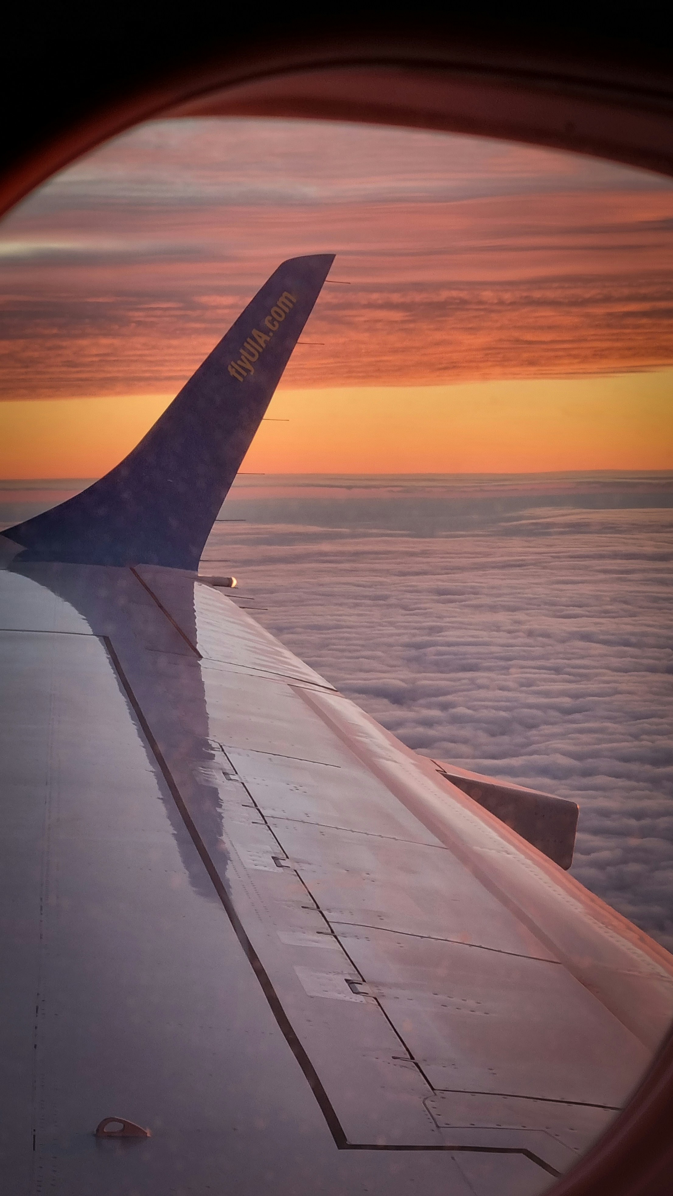 Dusk Winglet: A Sunset Glide Above Cloud Veils