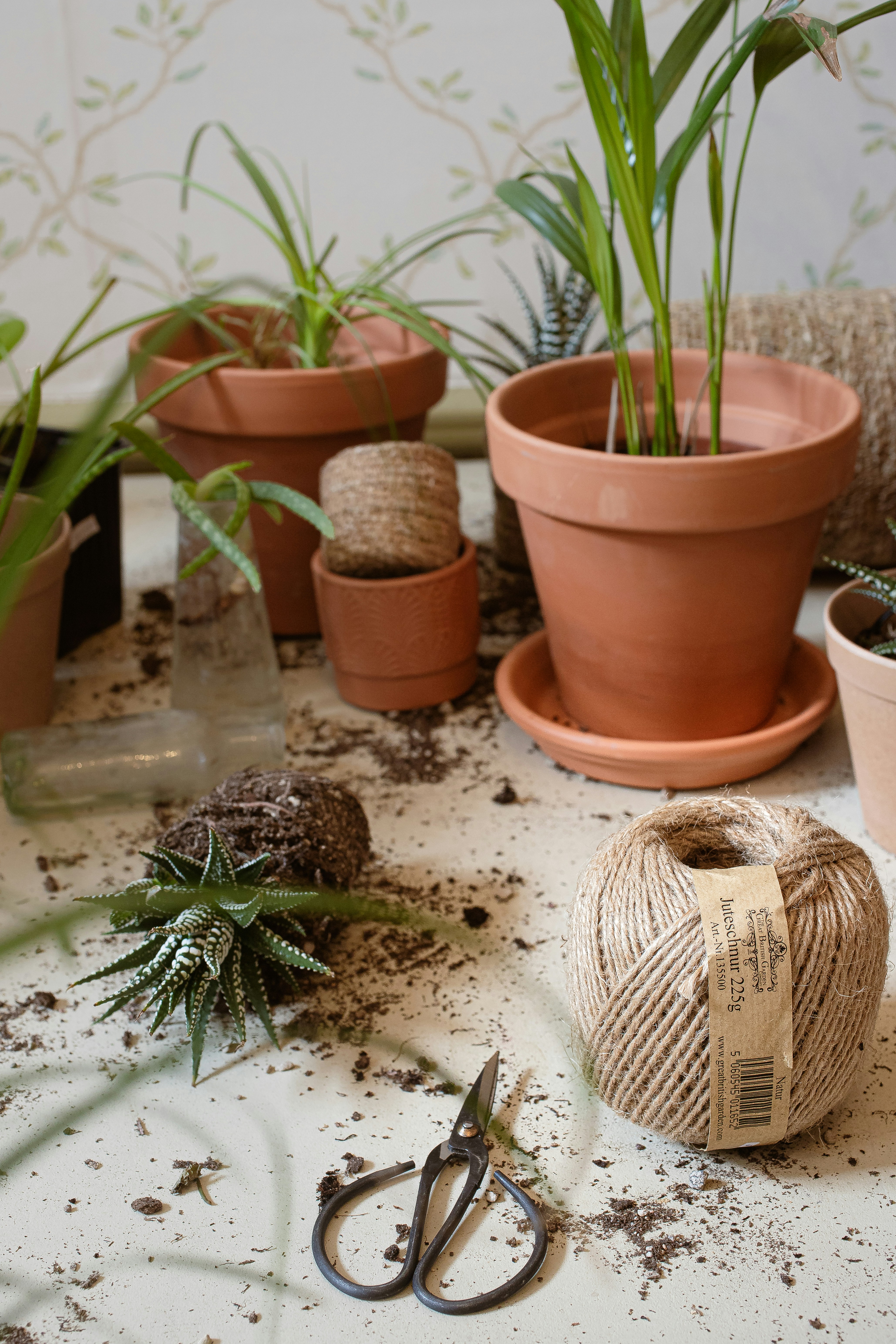 An array of terracotta pots, soil, and gardening tools scattered across a work surface, highlighting the process of potting plants.