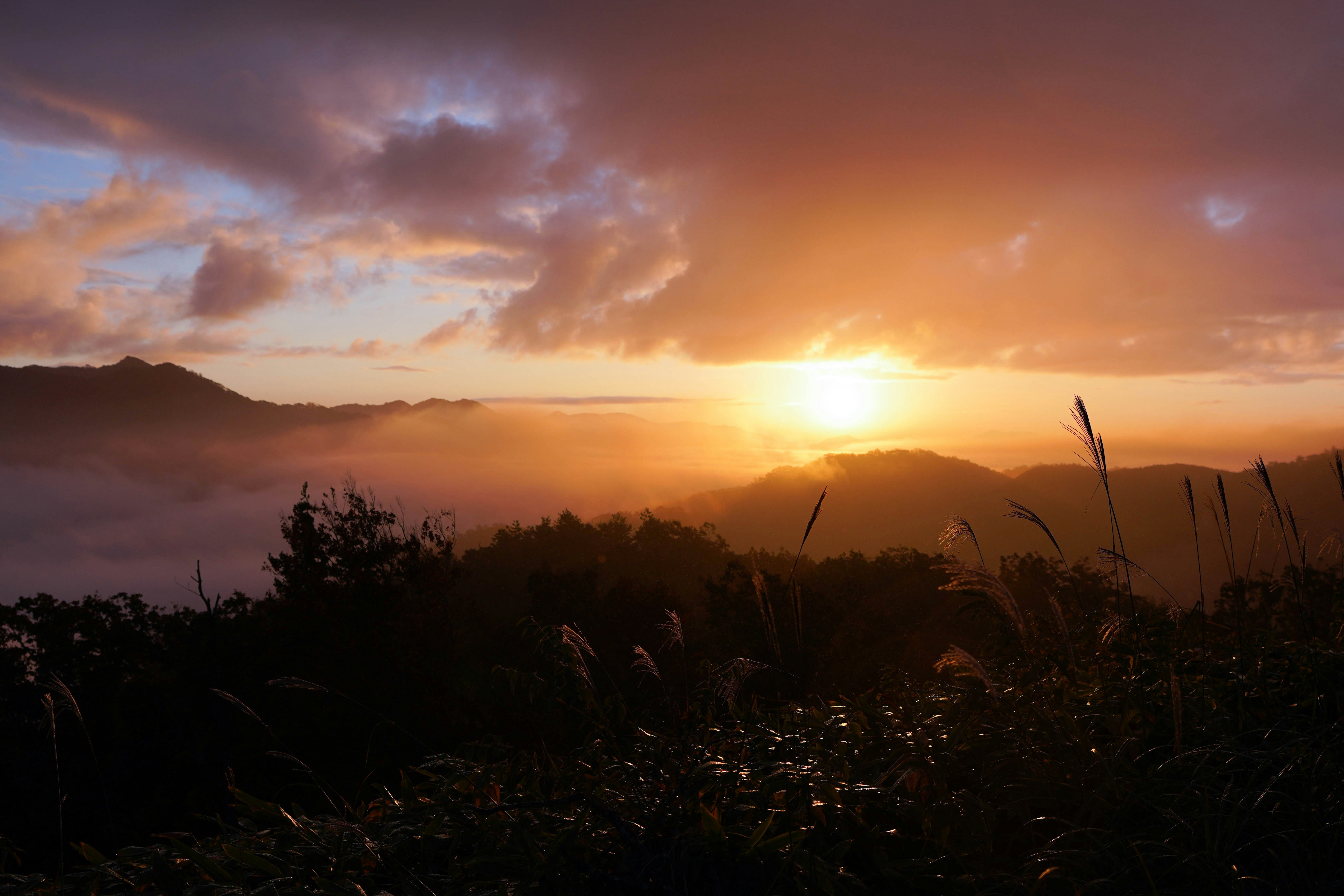 Ember Sun Over a Fog-Wrapped Valley