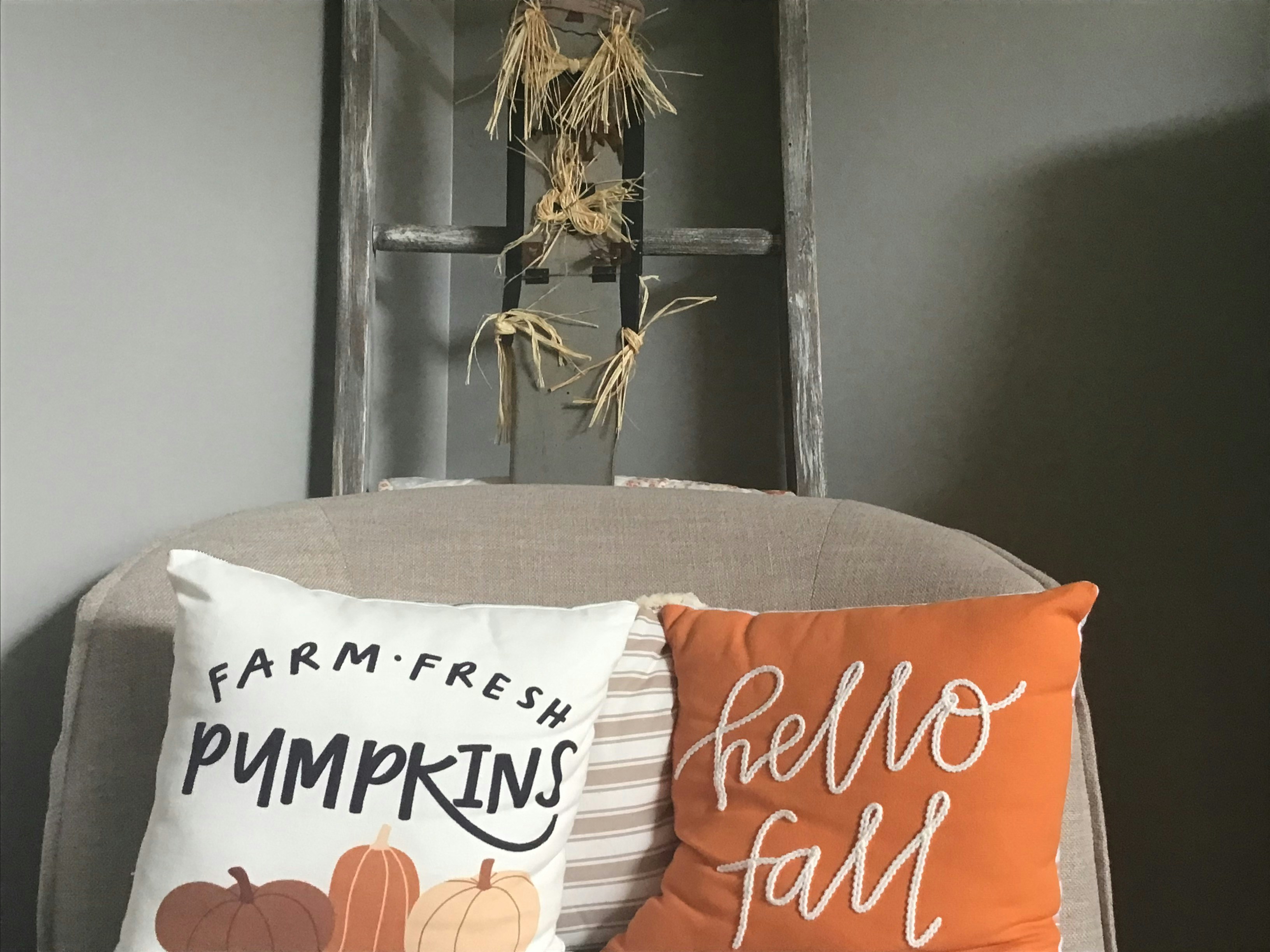 Two decorative pillows with autumn themes rest on a couch, complemented by a rustic ladder adorned with dried corn stalks.