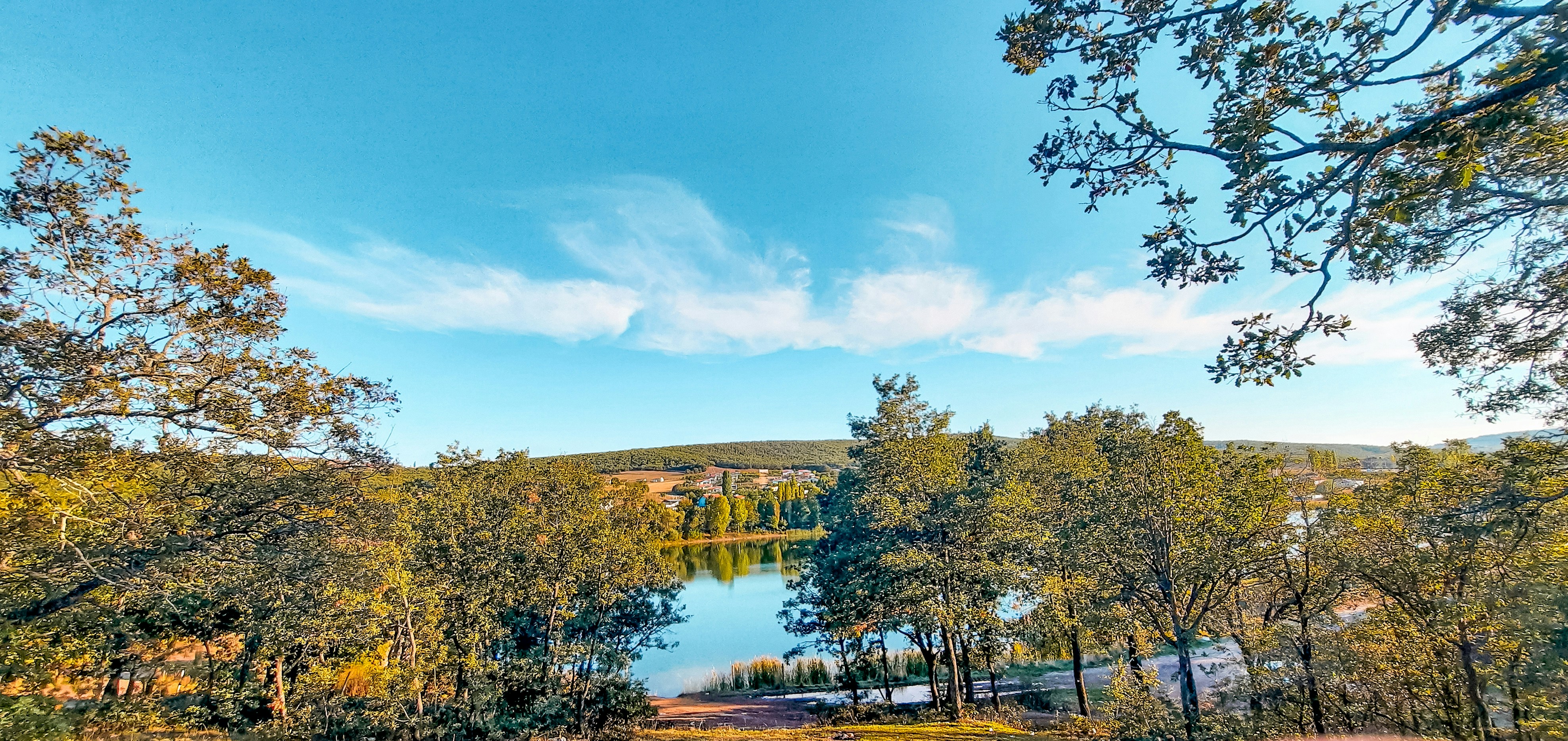 Amber Canopy Over a Serene Lake, Under a Clear Azure Sky