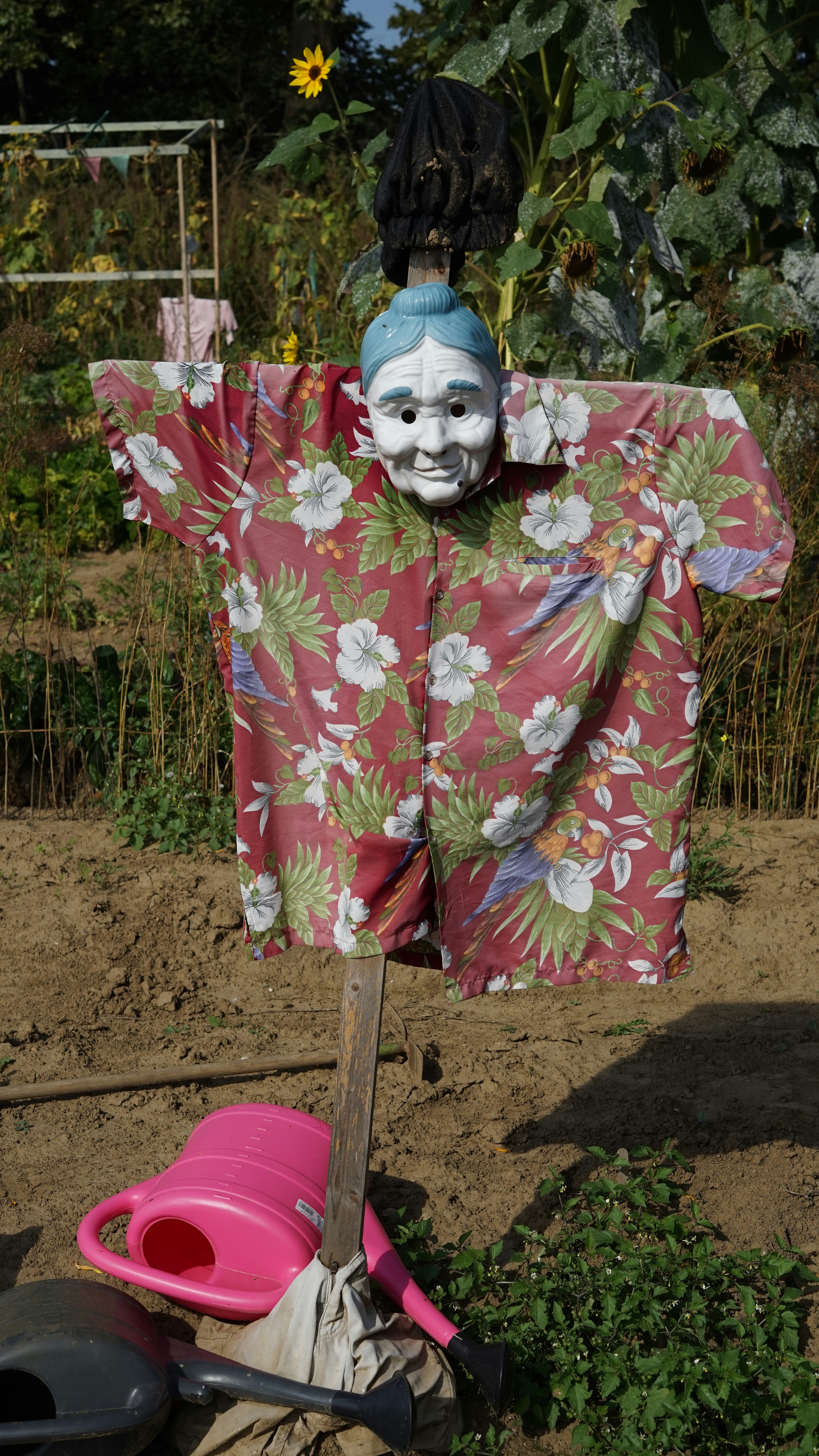 With a scarecrow, gardeners protect their precious vegetable and fruit plantations