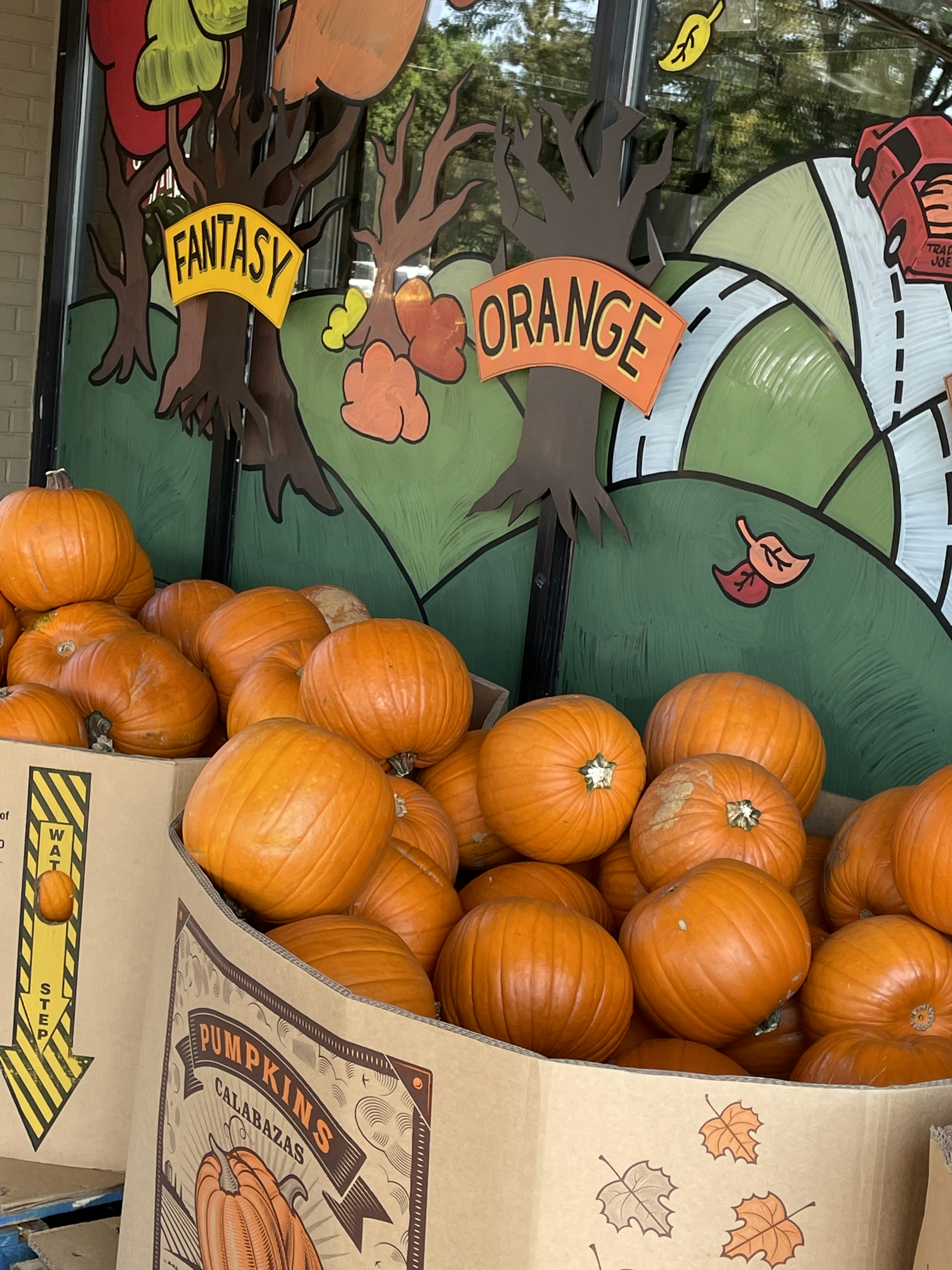 A display in a store filled with lots of pumpkins photo – Free Plant ...