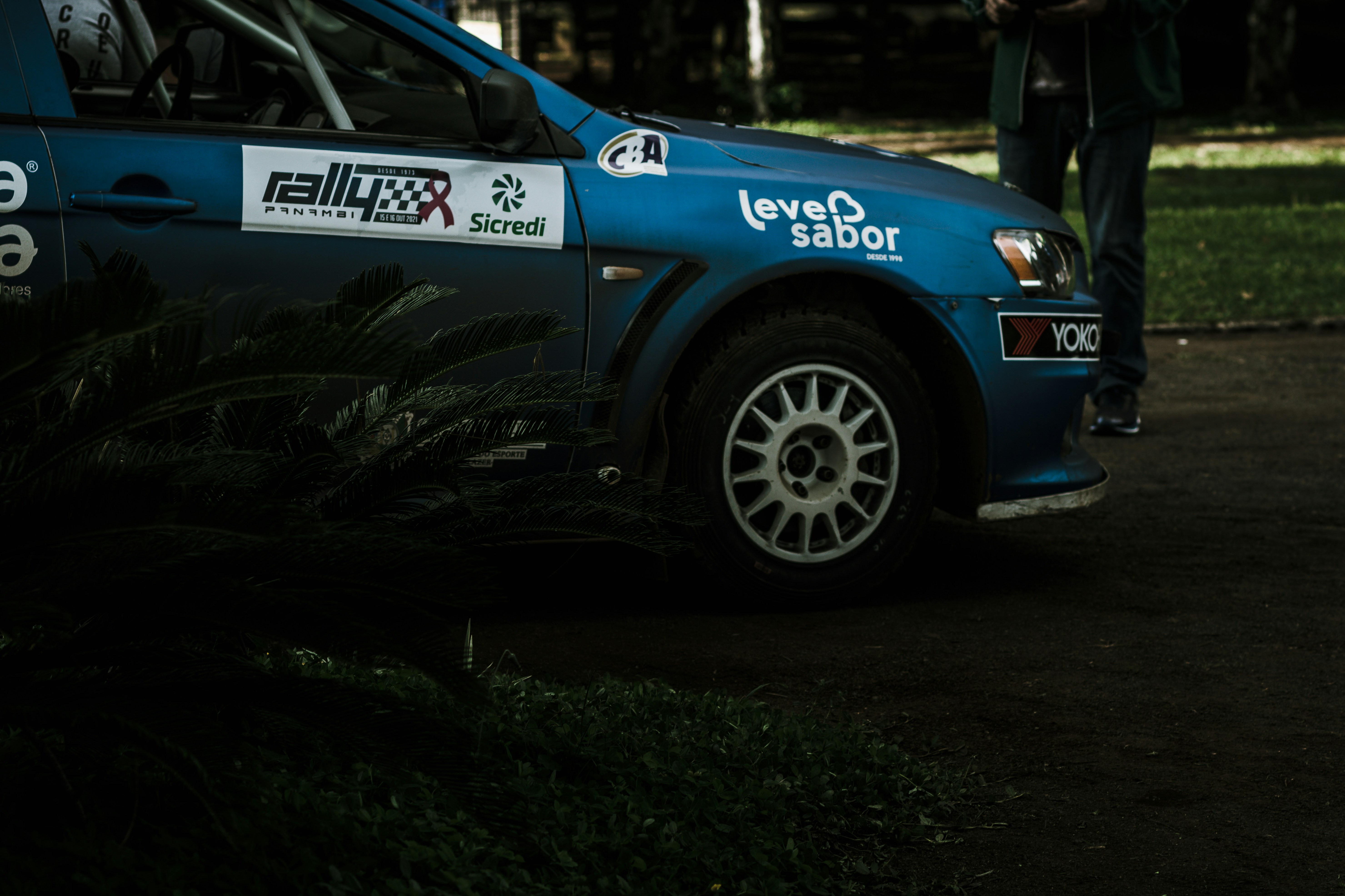 Blue Rally Car Quietly Anchored at the Forest Edge