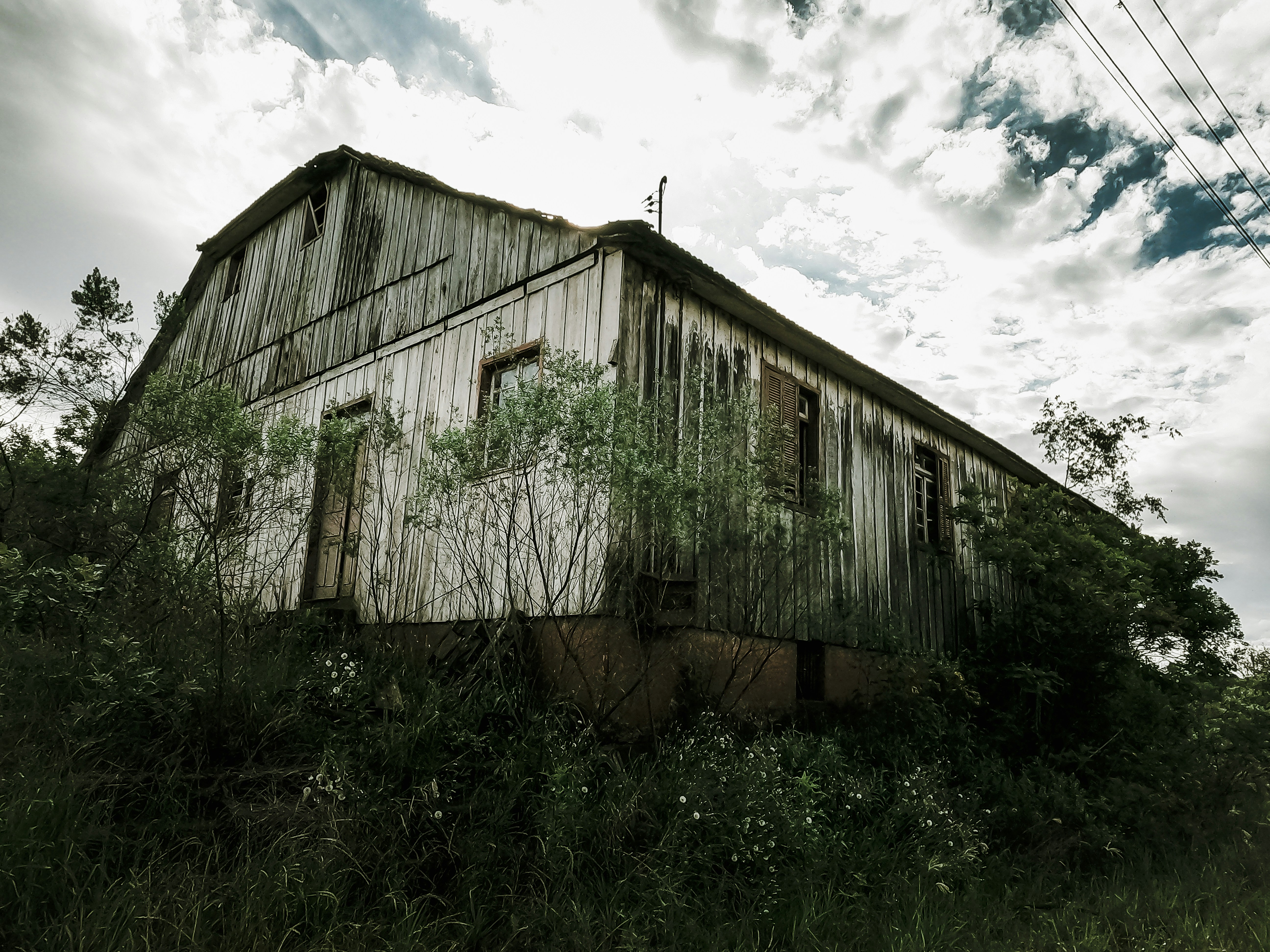 Un vieux bâtiment délabré avec des vignes qui en sortent photo – Photo ...