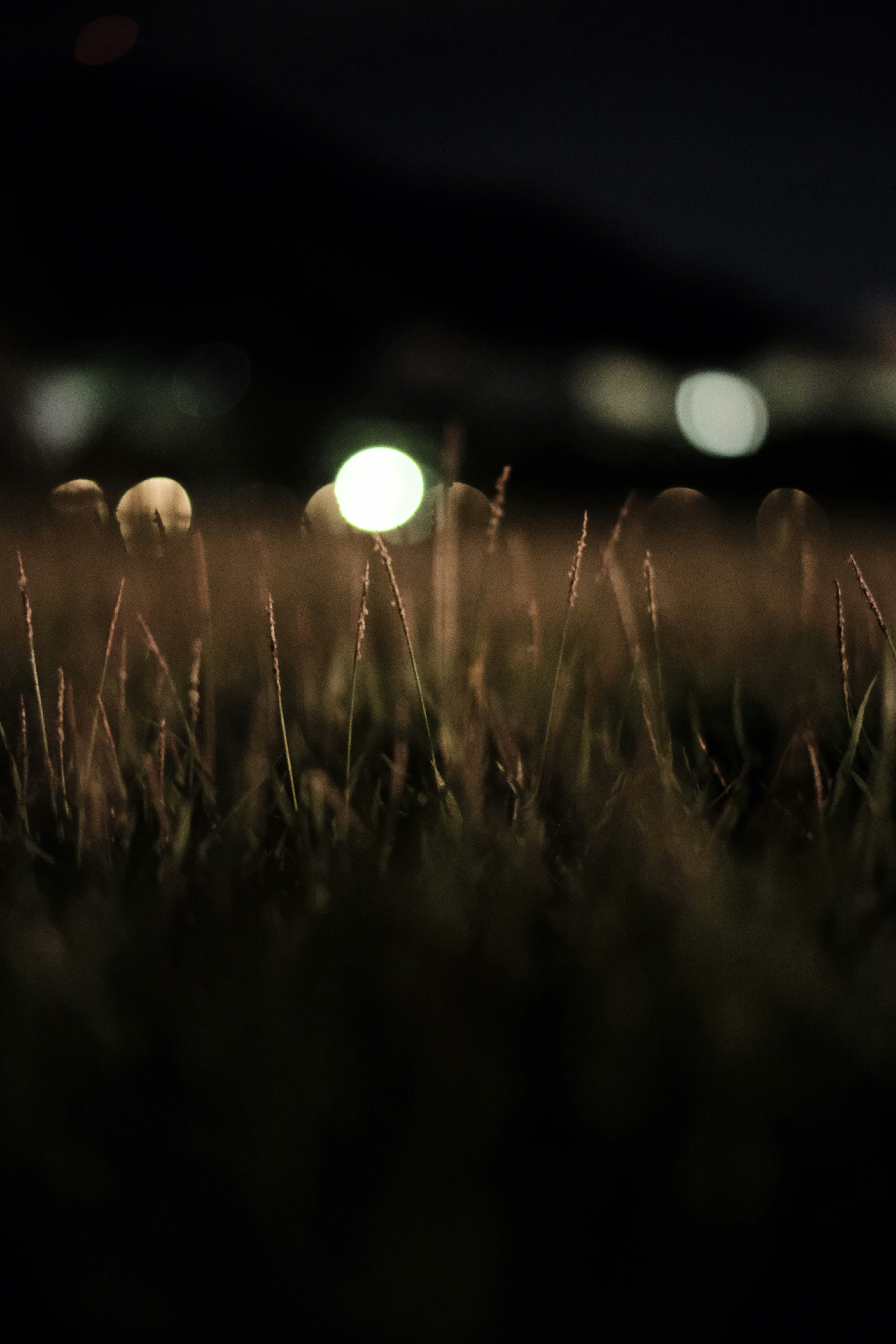a blurry photo of grass with a street light in the background