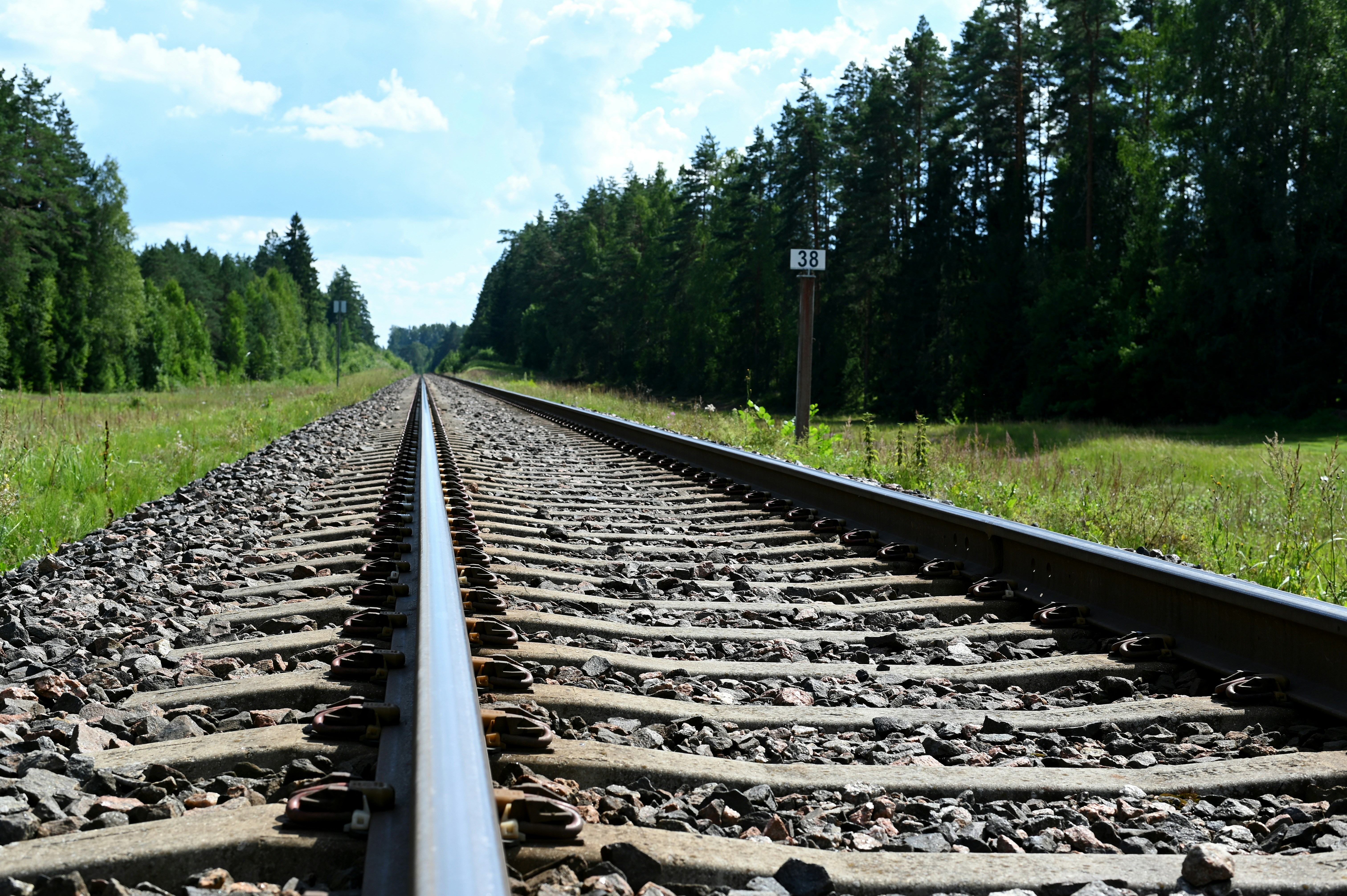 A train track running through a lush green forest photo – Free Forest ...