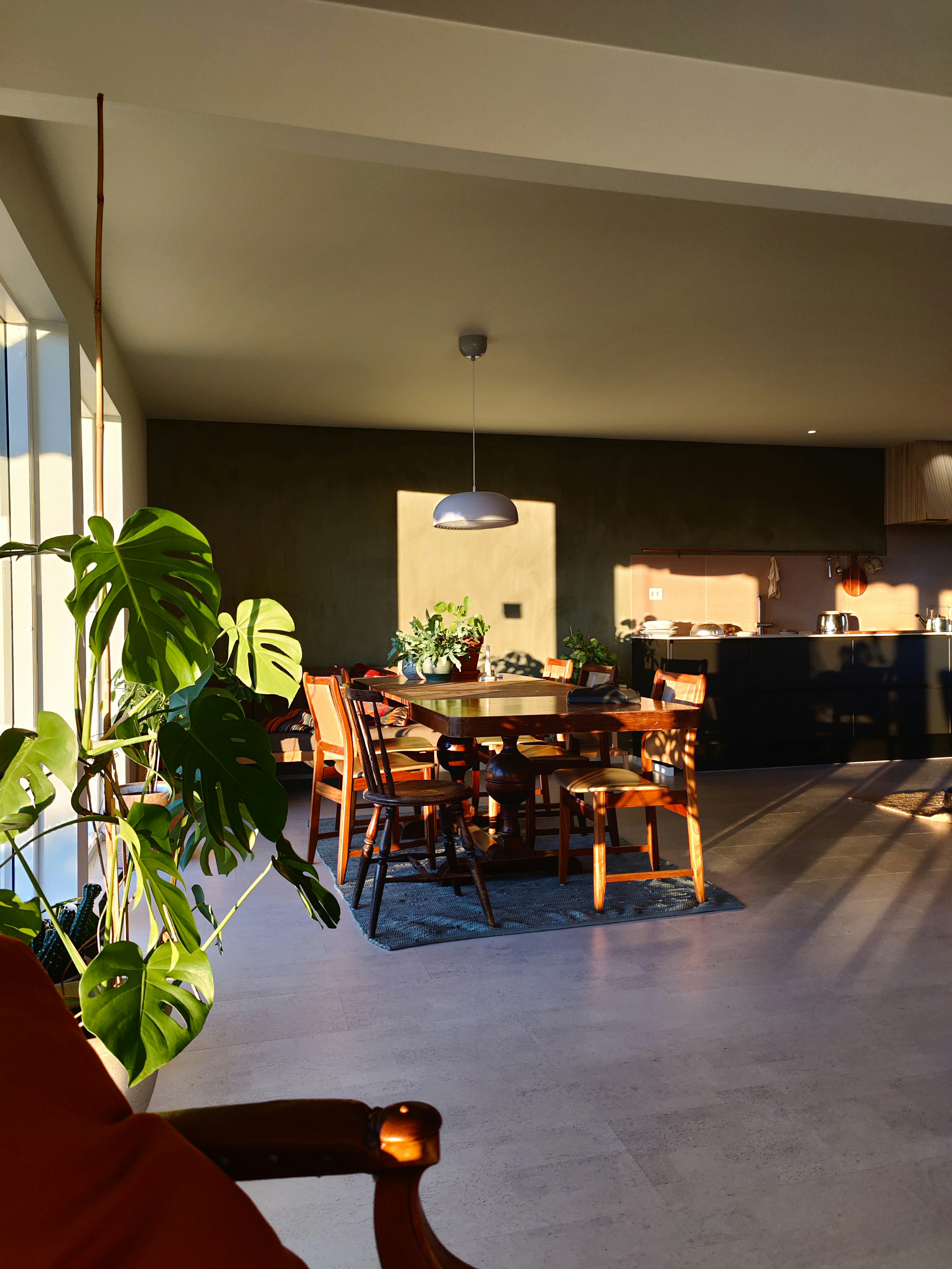 Bright dining area with wooden chairs and a round table, illuminated by natural light streaming through large windows. A green plant adds a touch of nature to the contemporary interior.