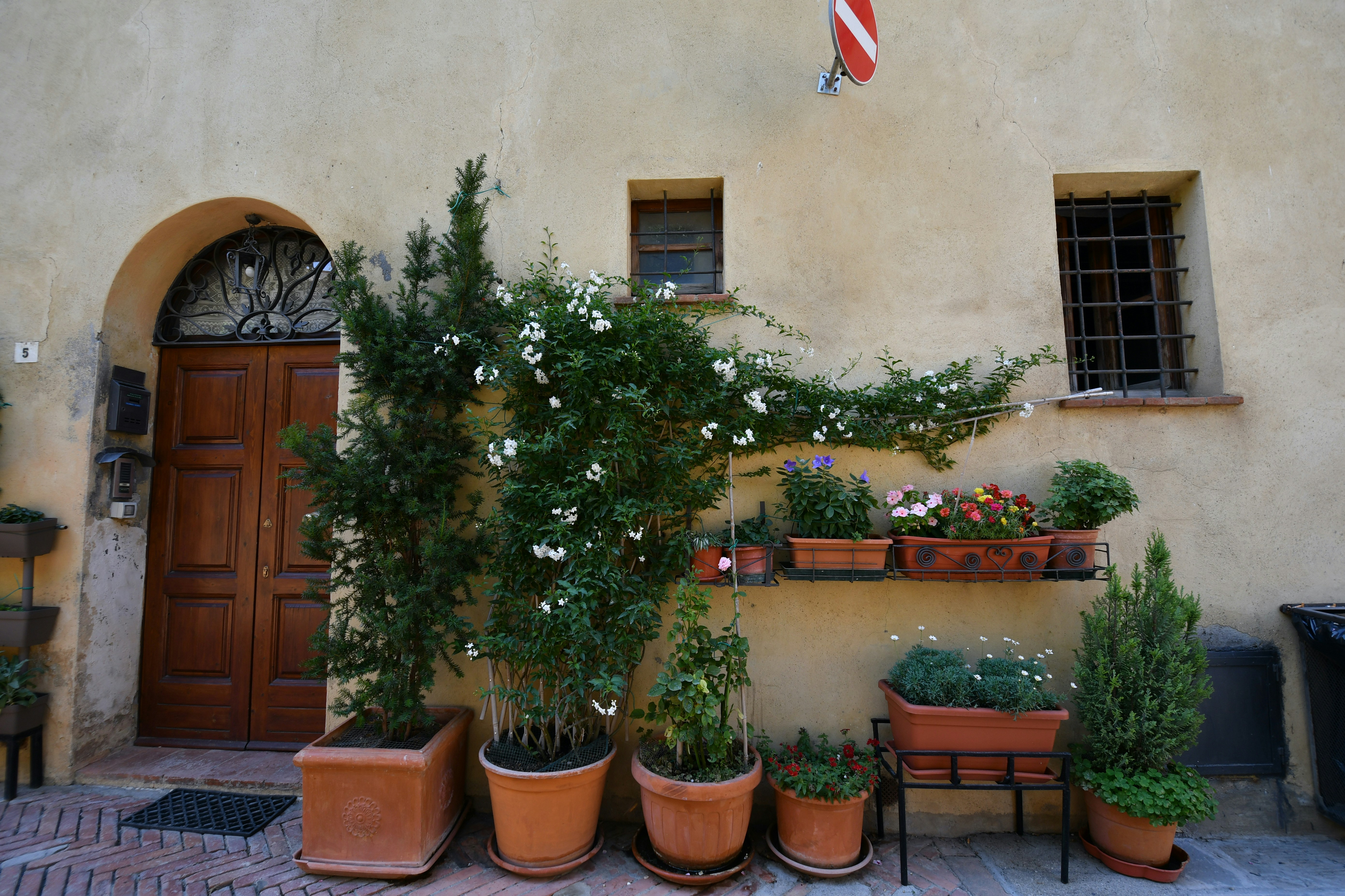 Whispers of a Rustic Courtyard