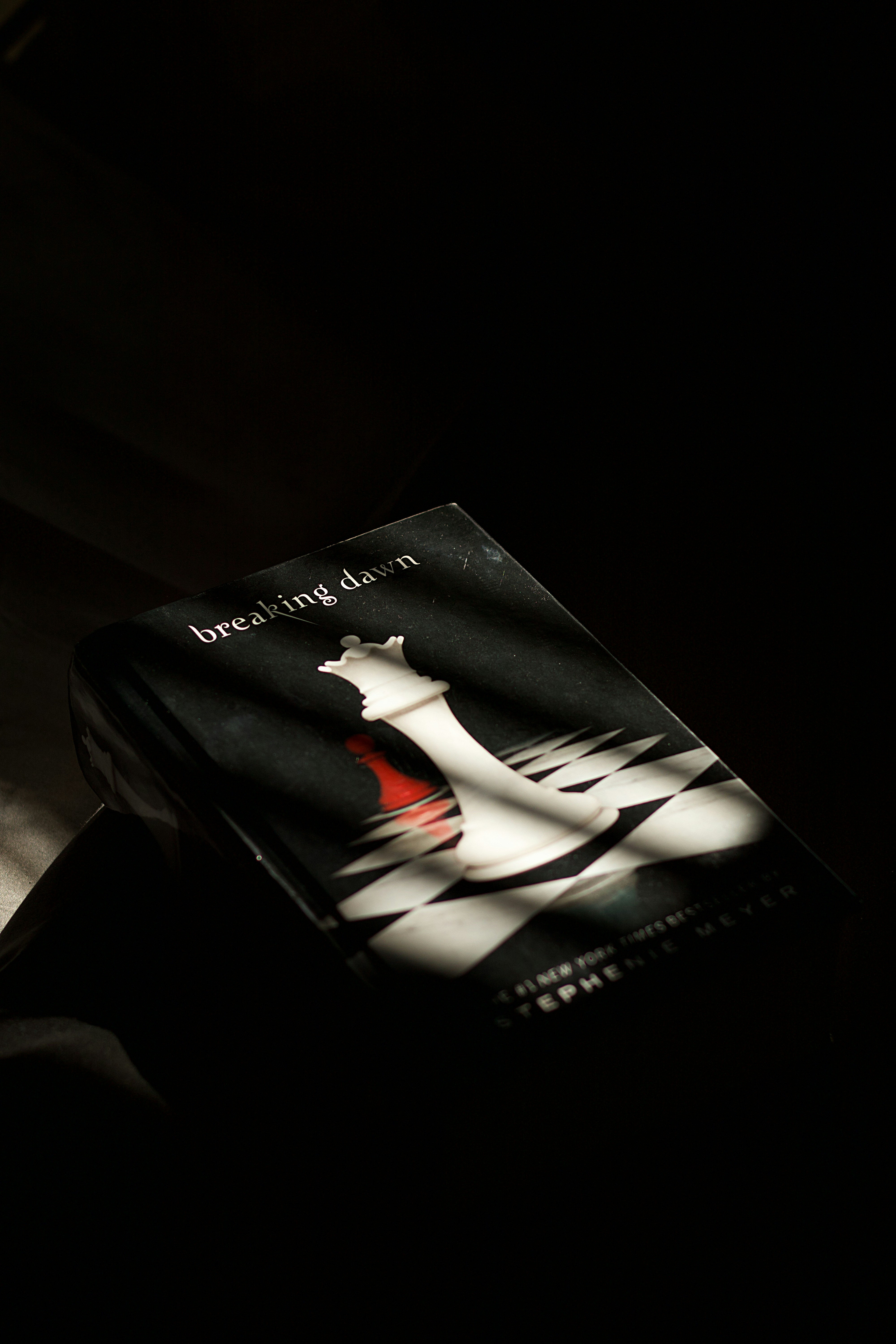 Dark Romance Light Book Cover Inspo Pictures | Download Free Images on ...
