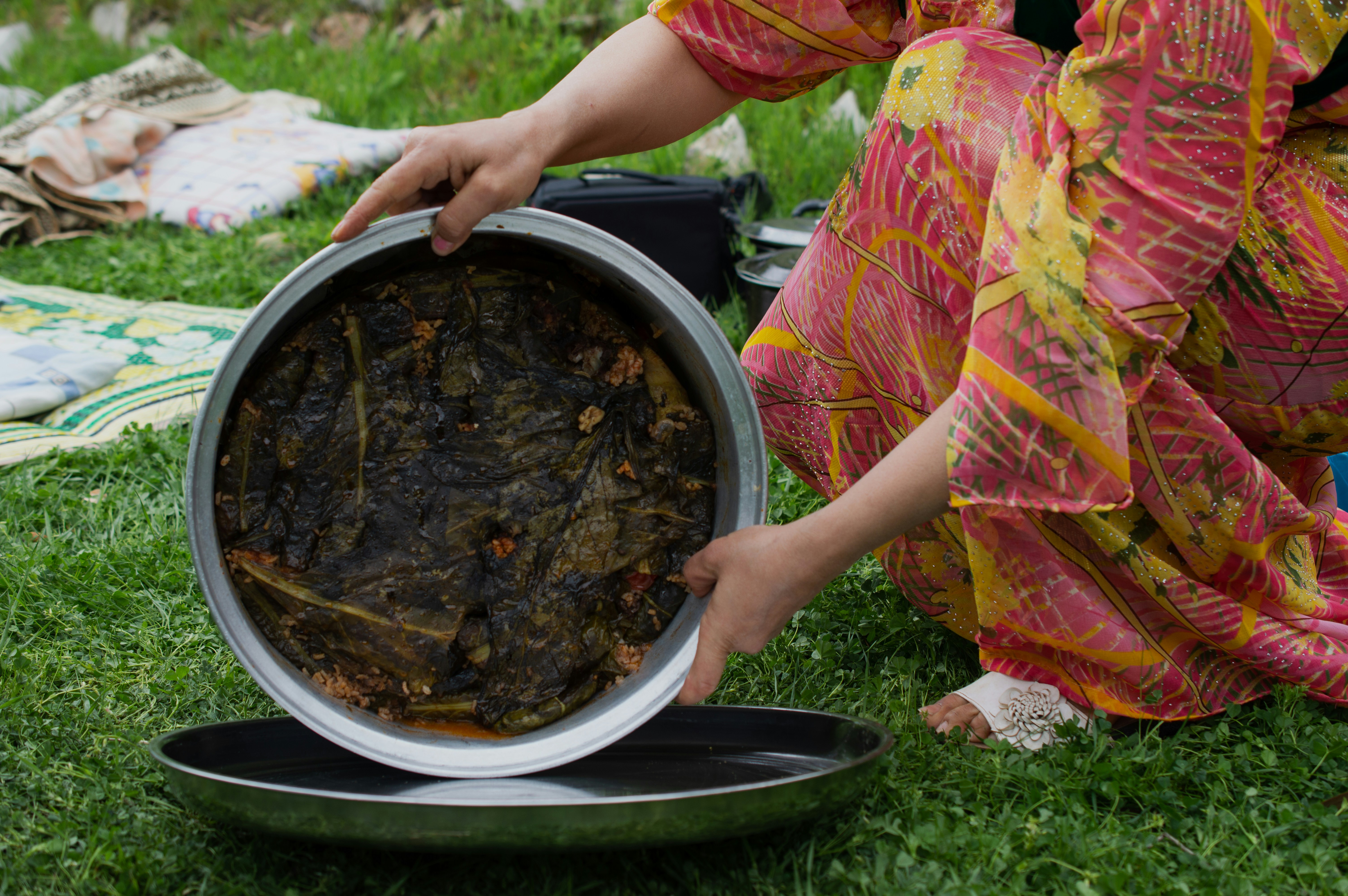 All about Dolma. Types of Dolma, Dolma recipes and the origin of Dolma ...