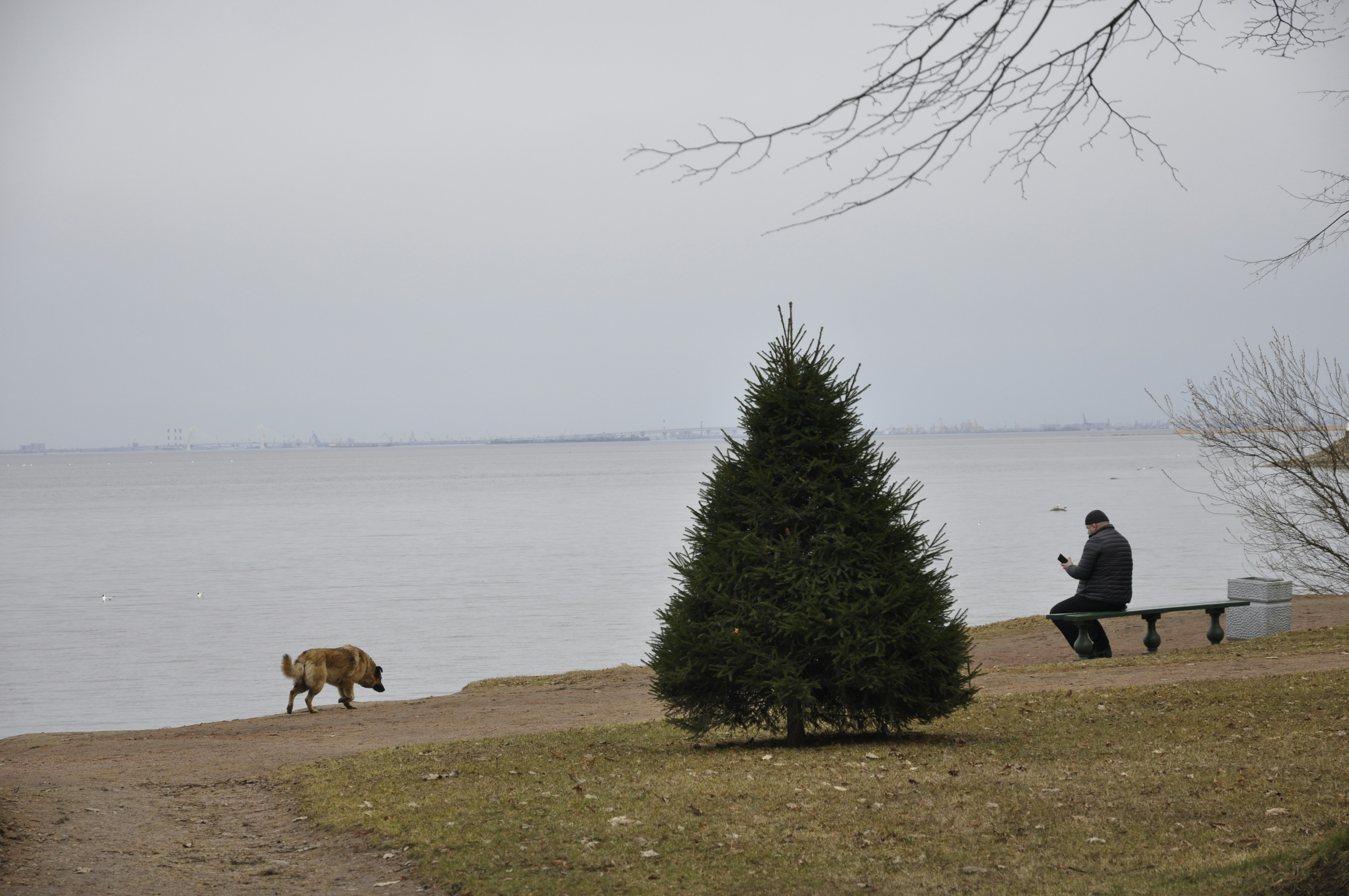 a man sitting on a bench next to a tree