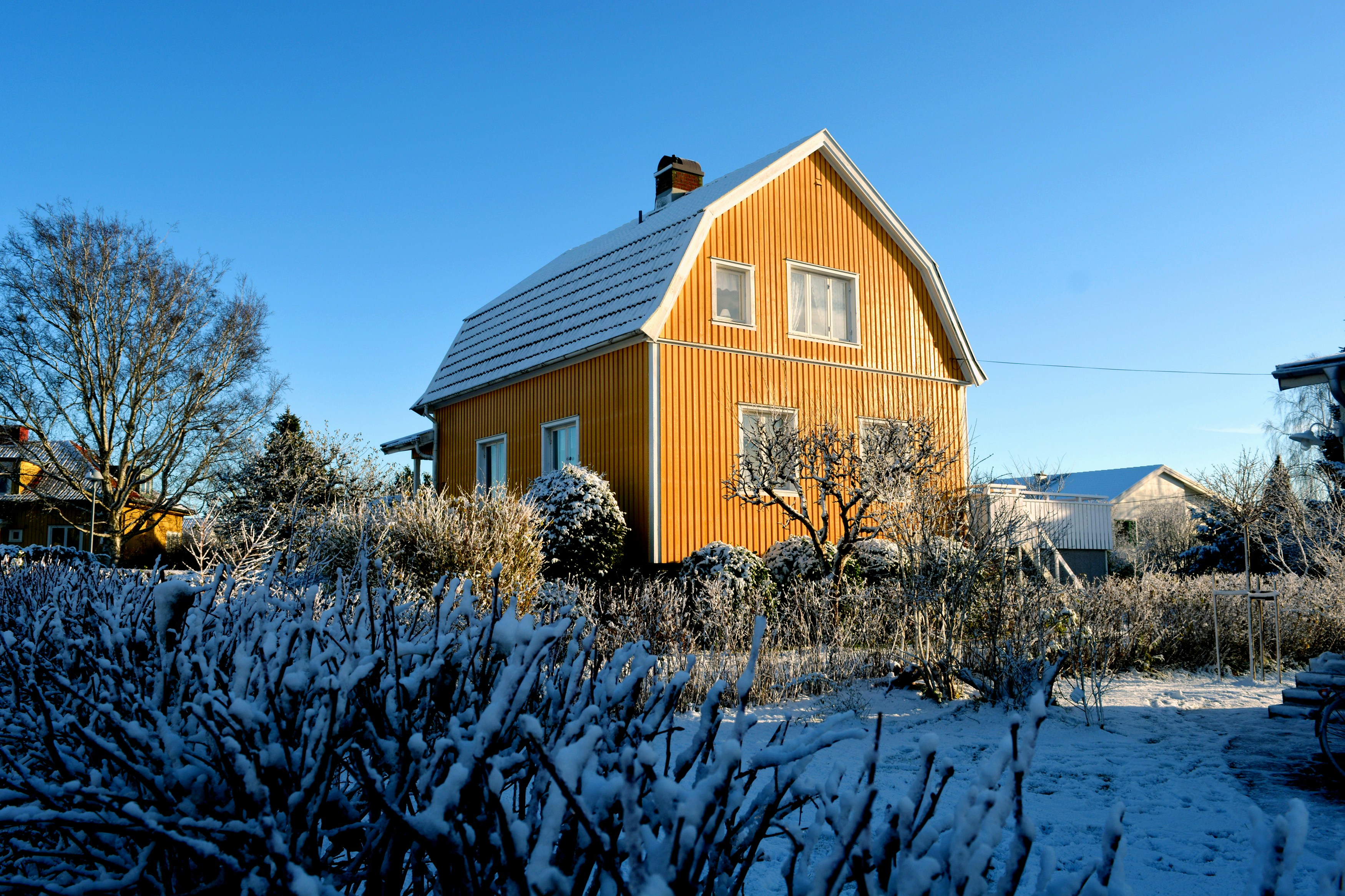 Charming yellow house surrounded by frosted gardens and snow-covered shrubs under a clear blue sky.