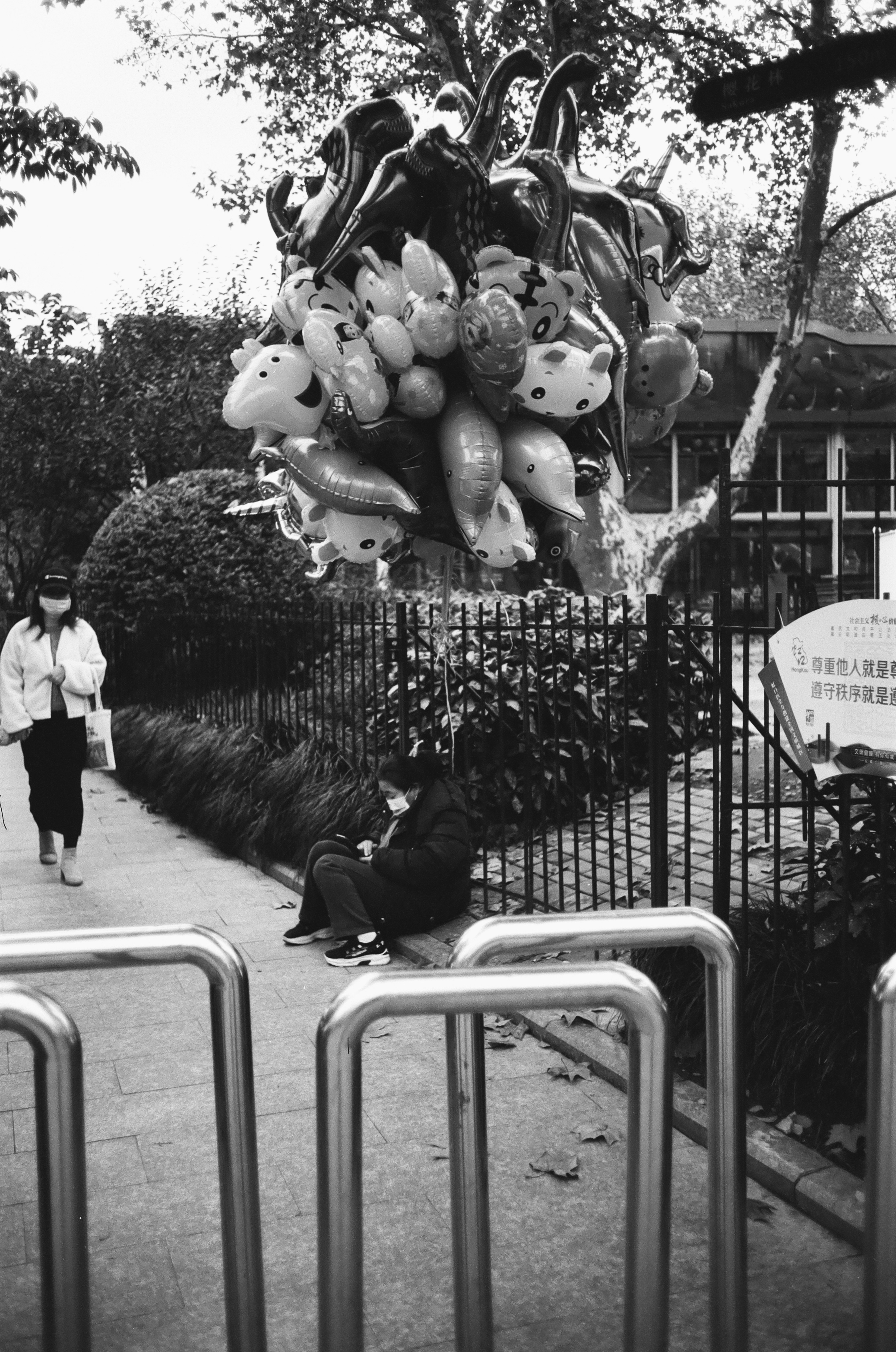 Balloon Bouquet Over the Parked Path