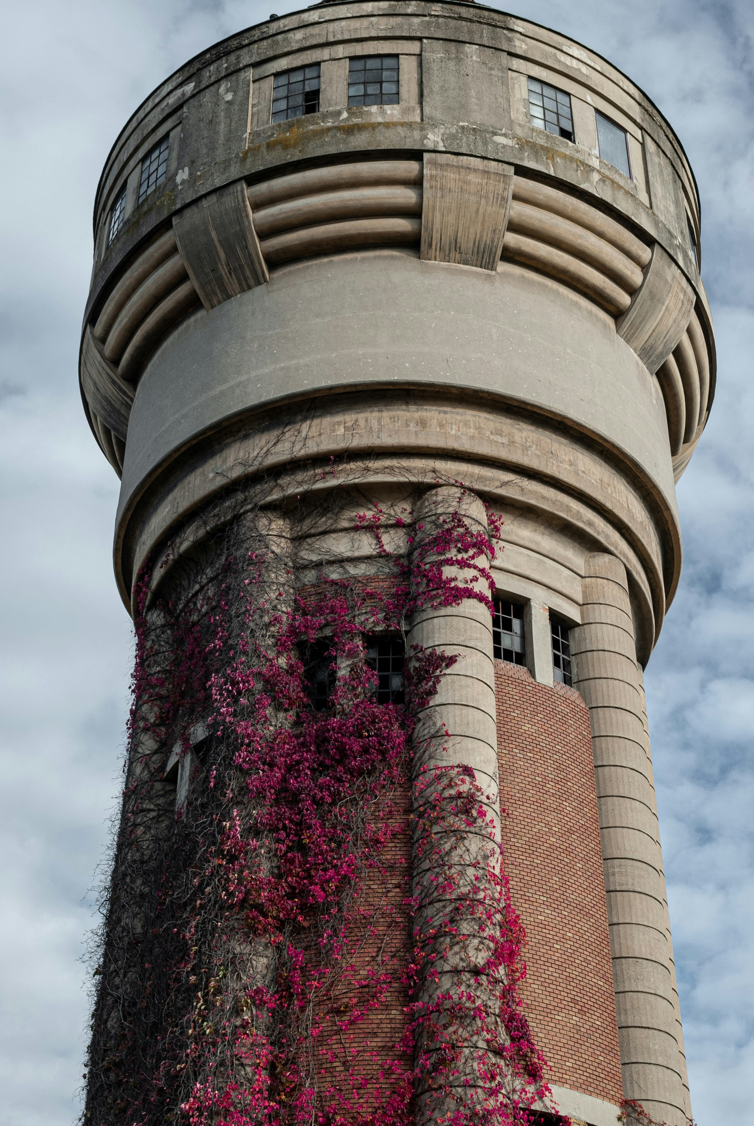 Nature's Embrace on Urban Architecture