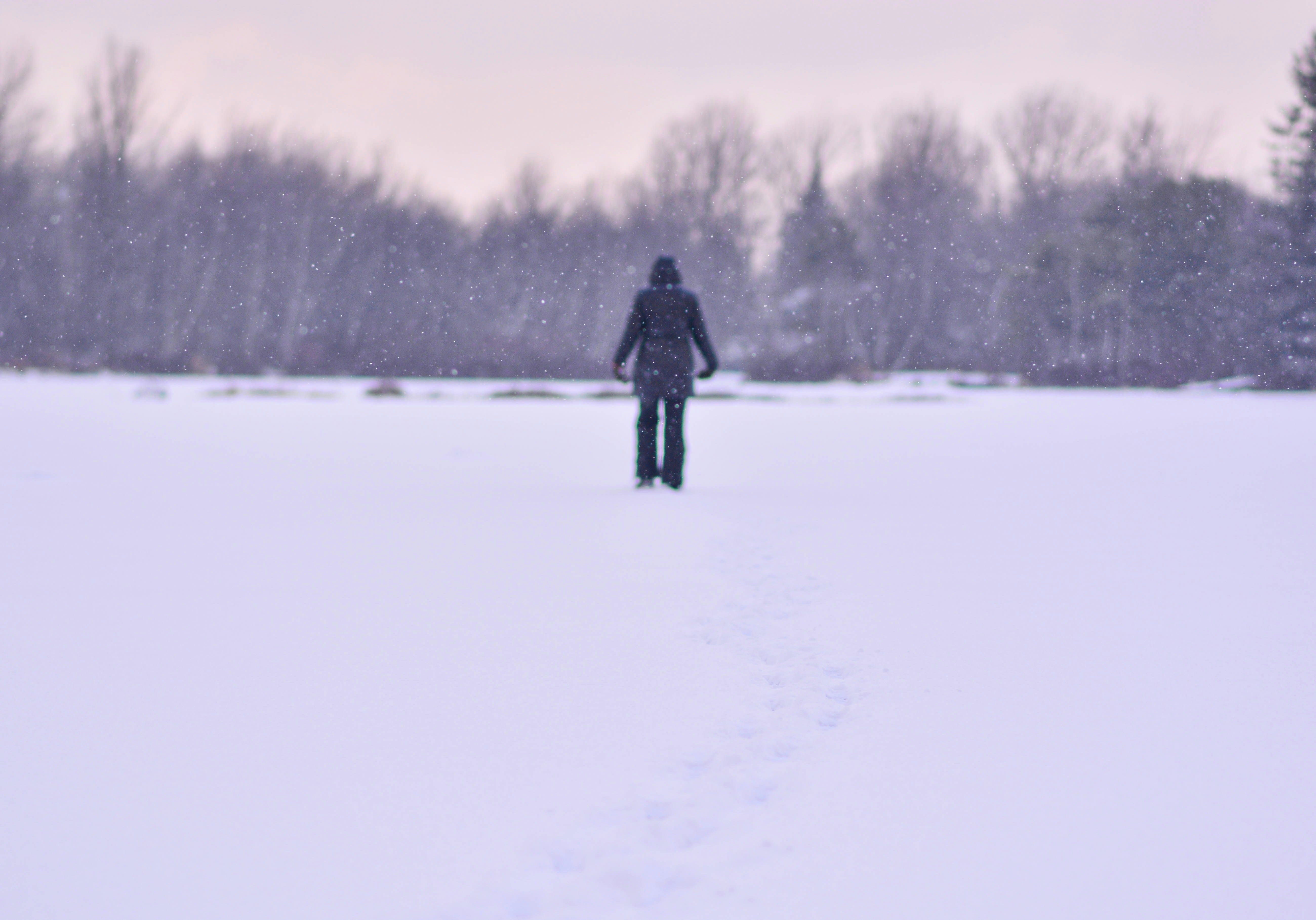 A person walking through a snow covered field photo – Free Christmas ...