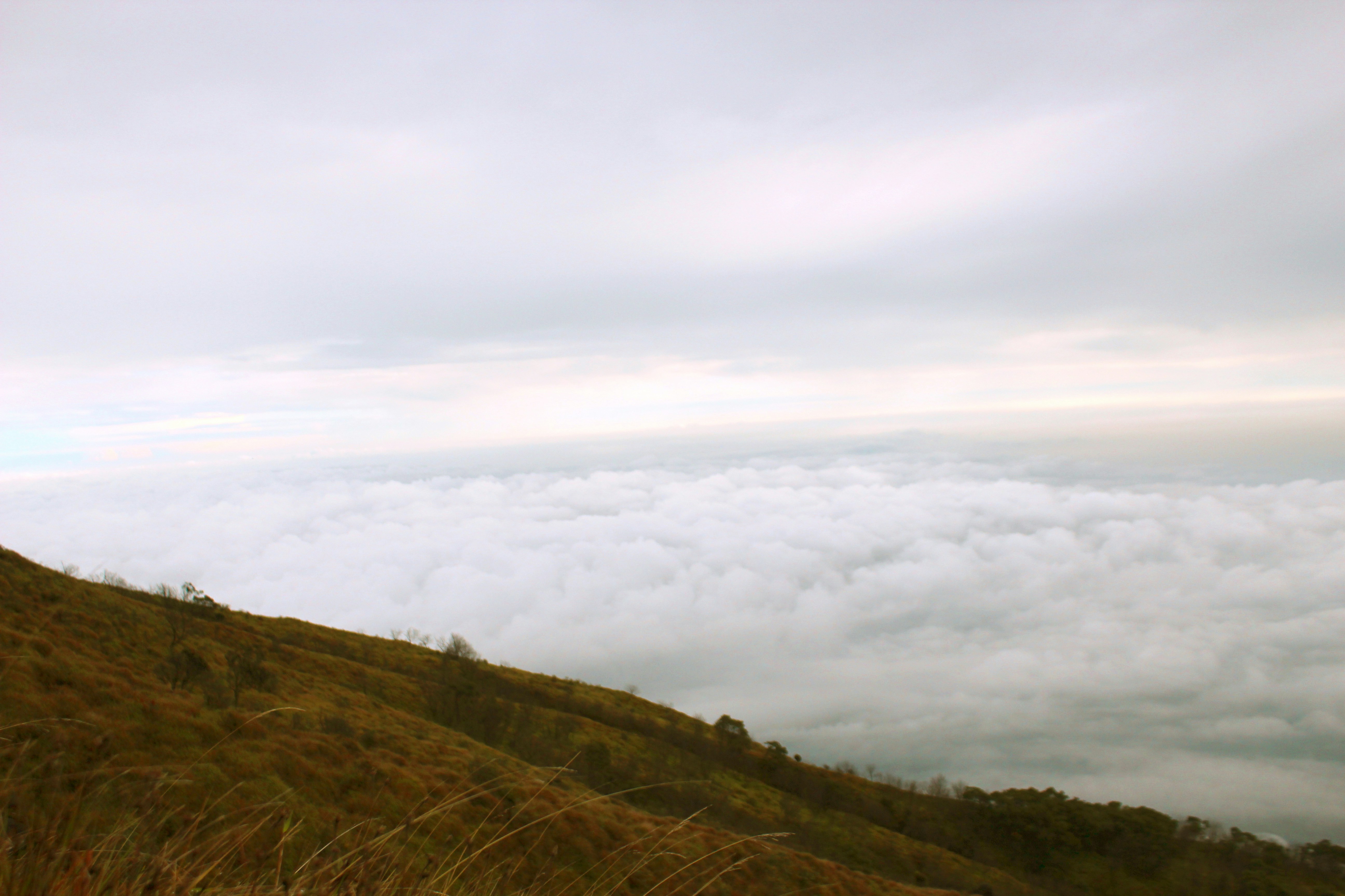 Clouds blanket the landscape, meeting golden grasses on a gentle hill under an overcast sky.