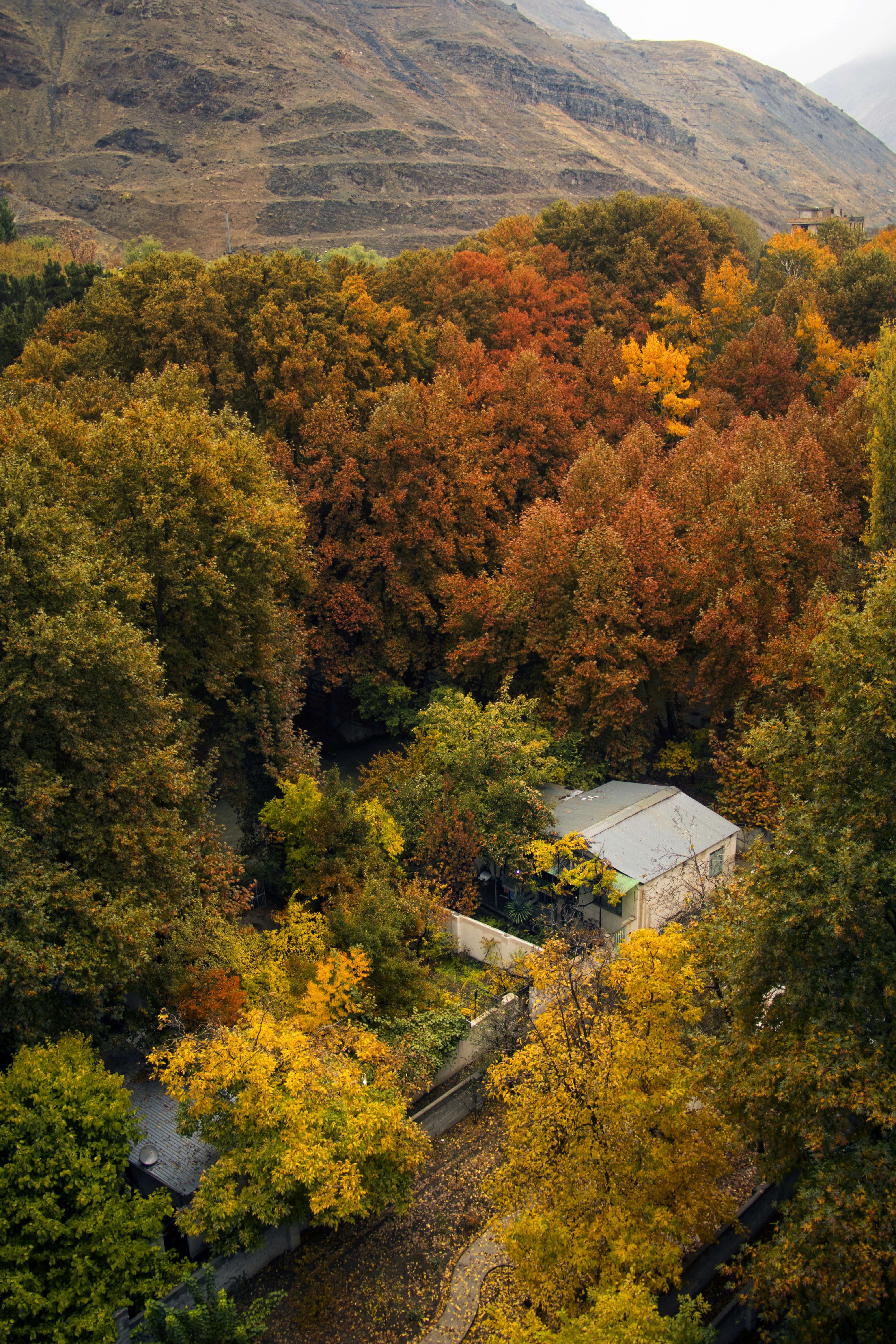 Autumn's Quiet Cabin: Aerial View Over a Multicolored Forest