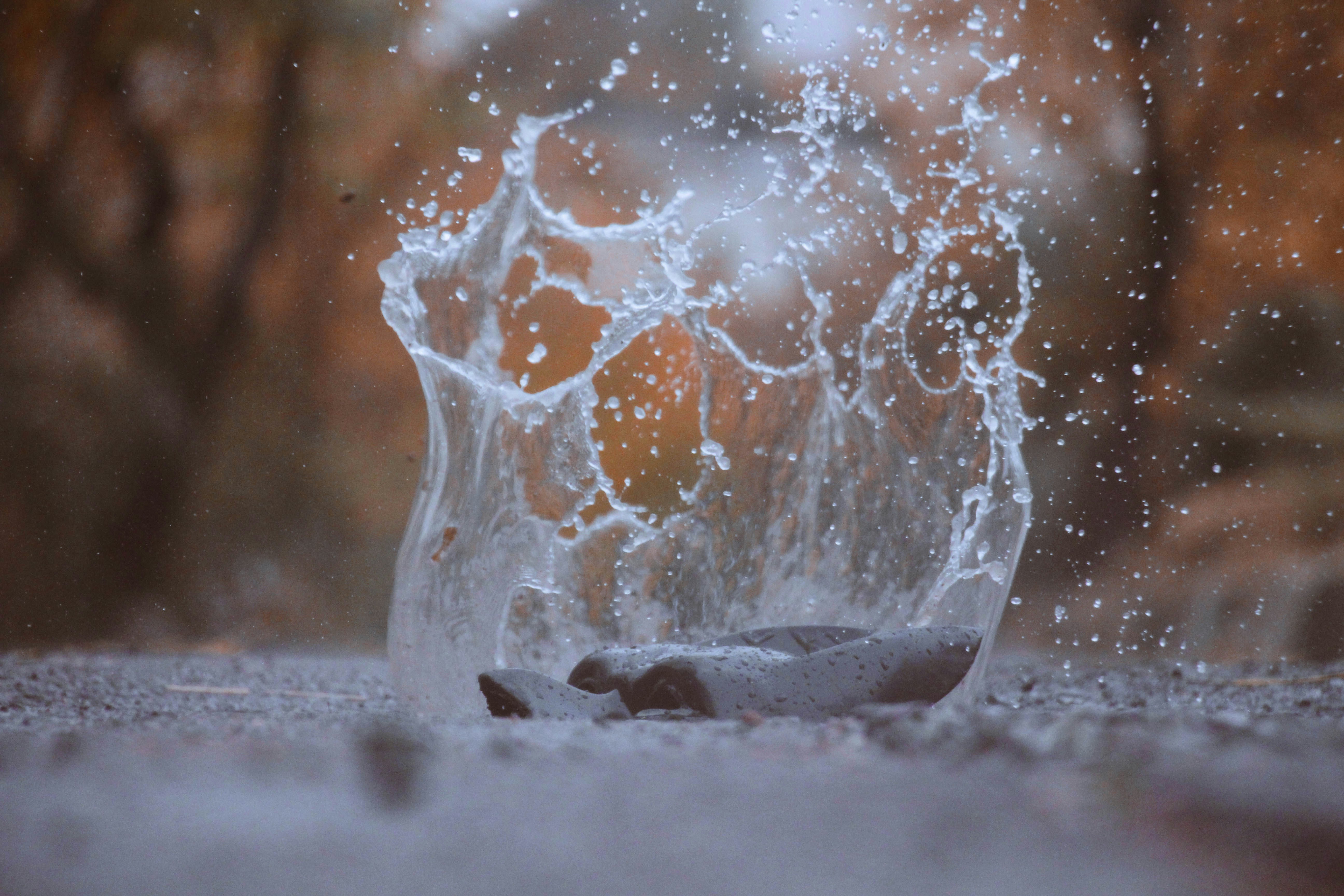 Winter's Burst: Crystal Arc of Ice in a Snow-Quiet Moment